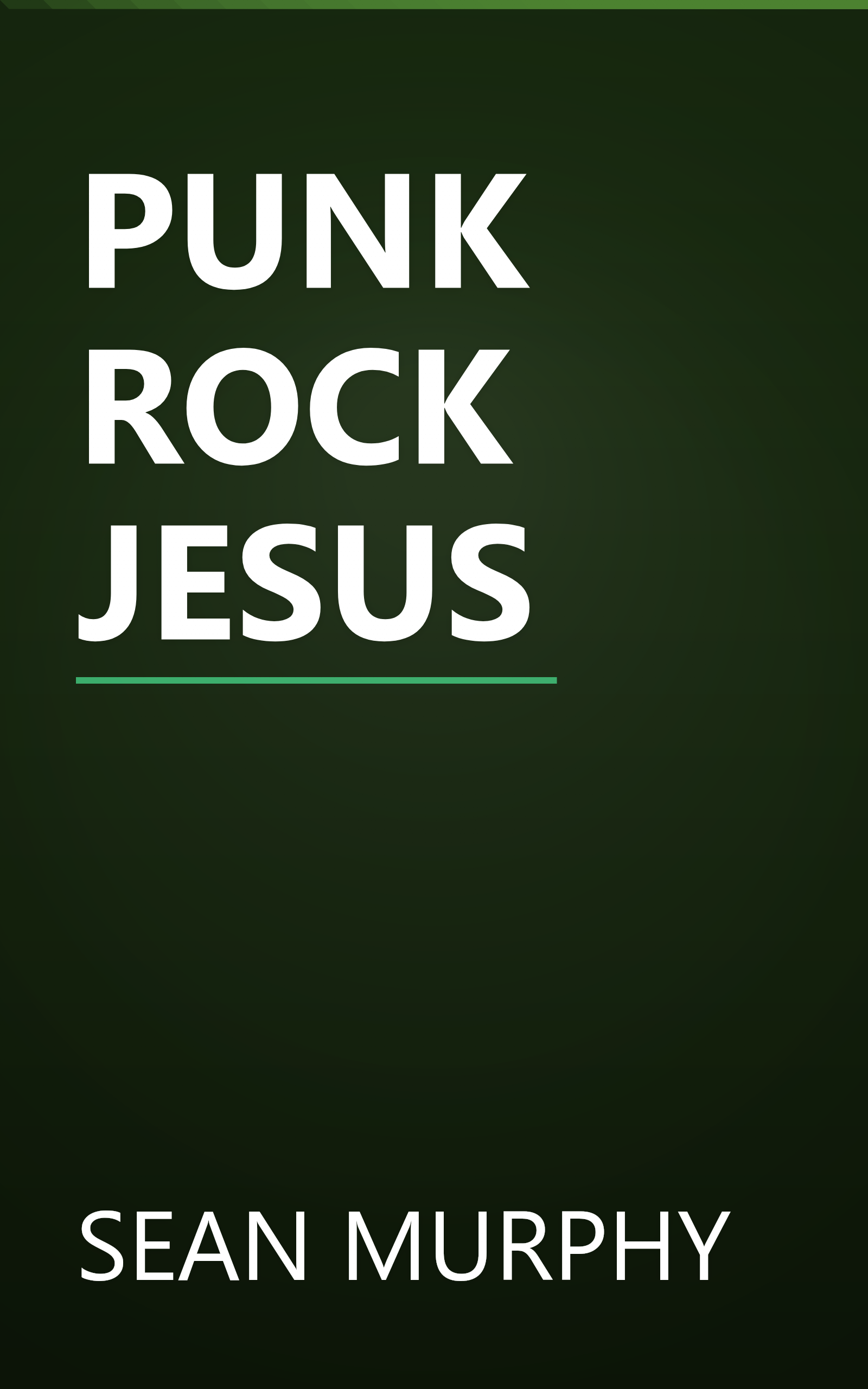 PUNK ROCK JESUS book cover