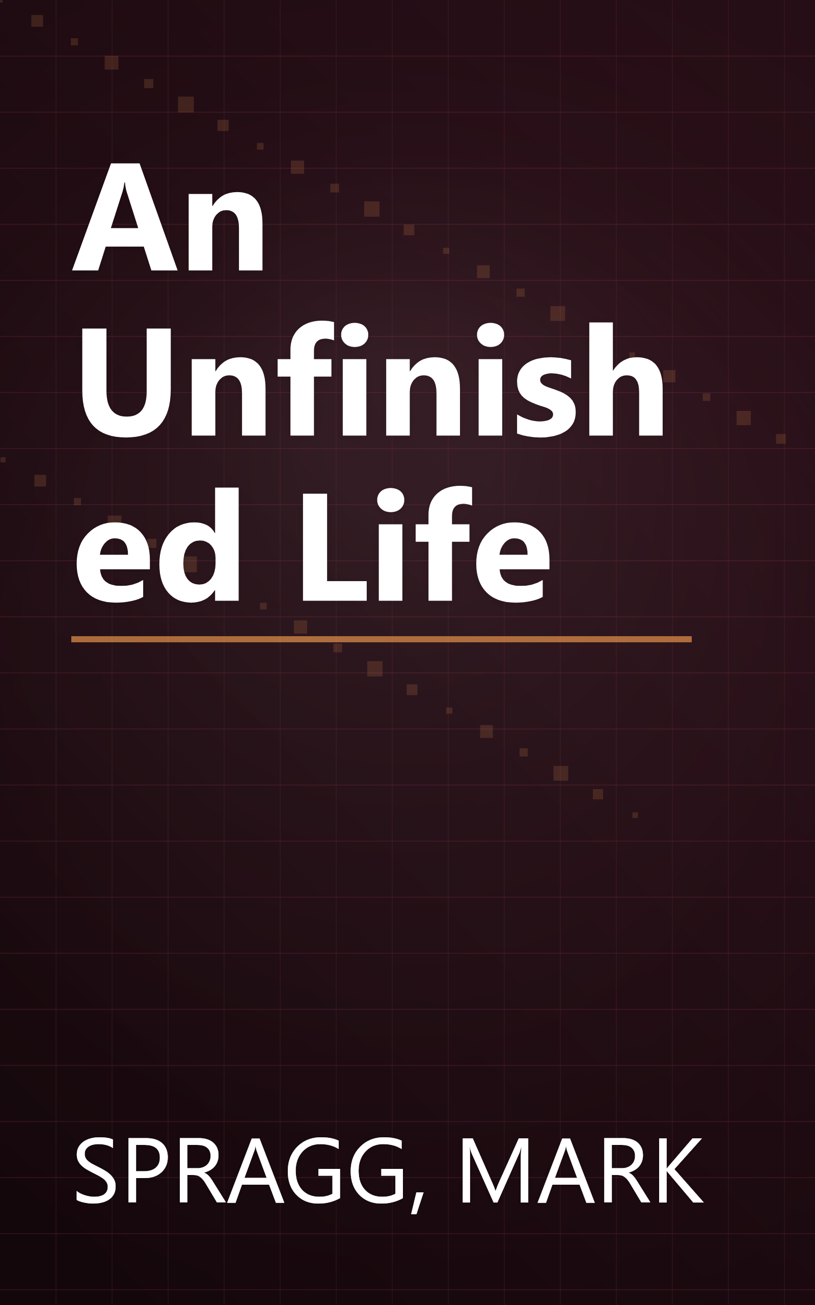 An Unfinished Life book cover