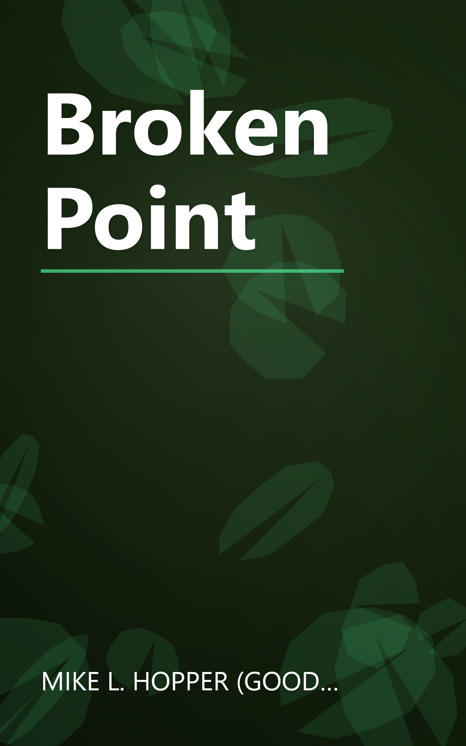 Broken Point book cover