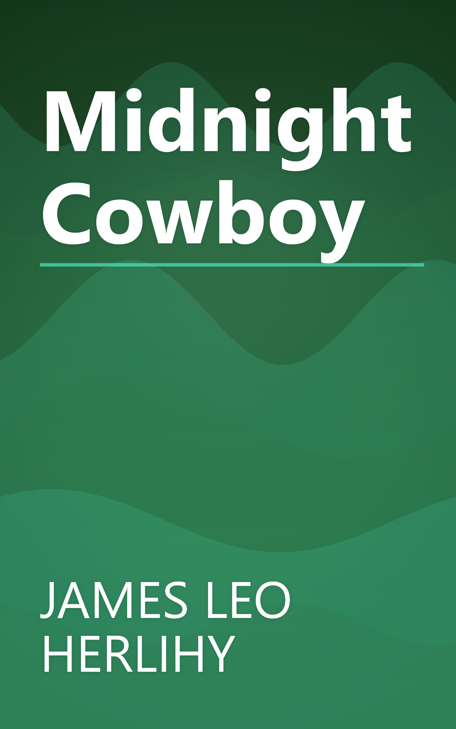 Midnight Cowboy book cover