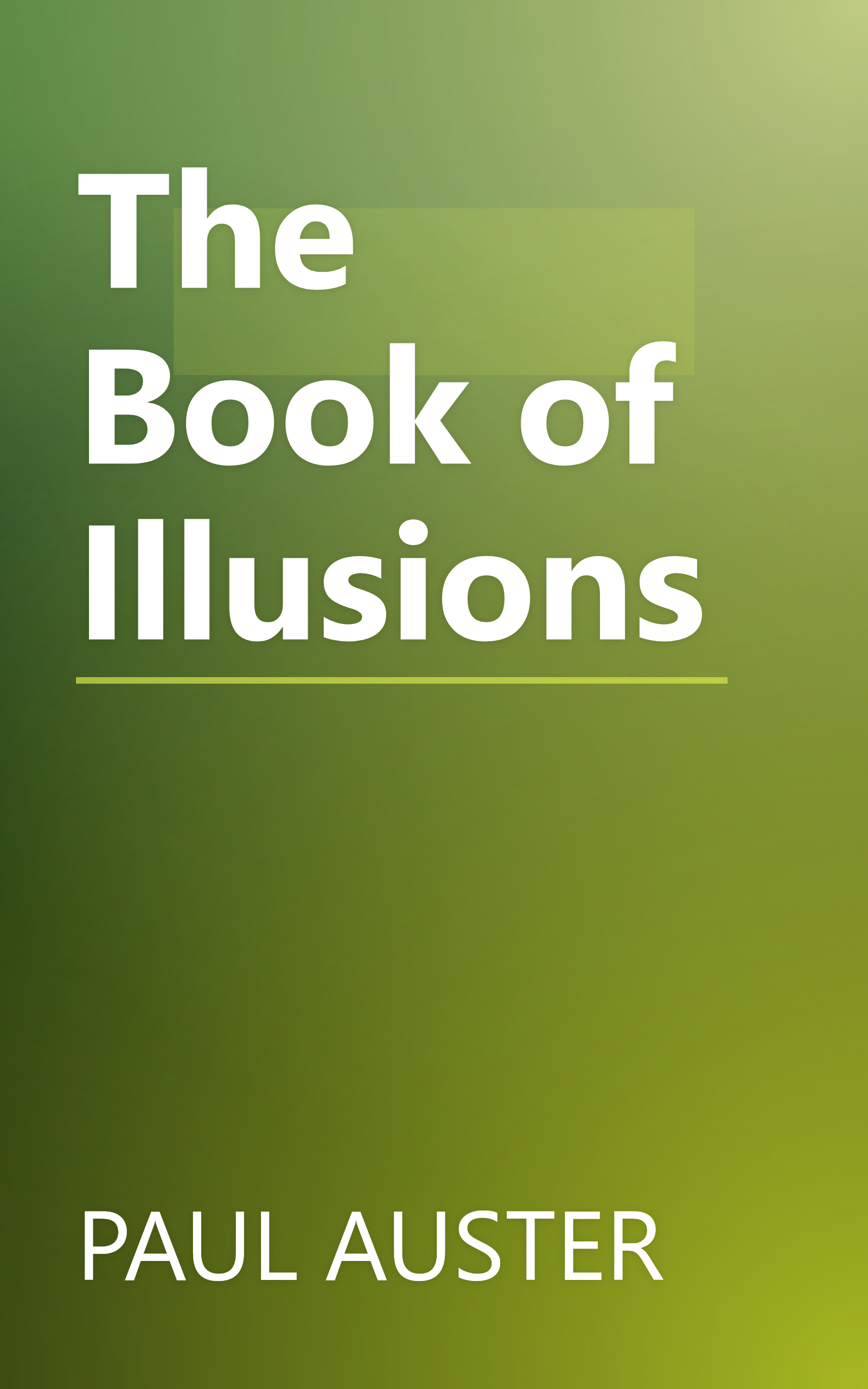 The Book of Illusions book cover