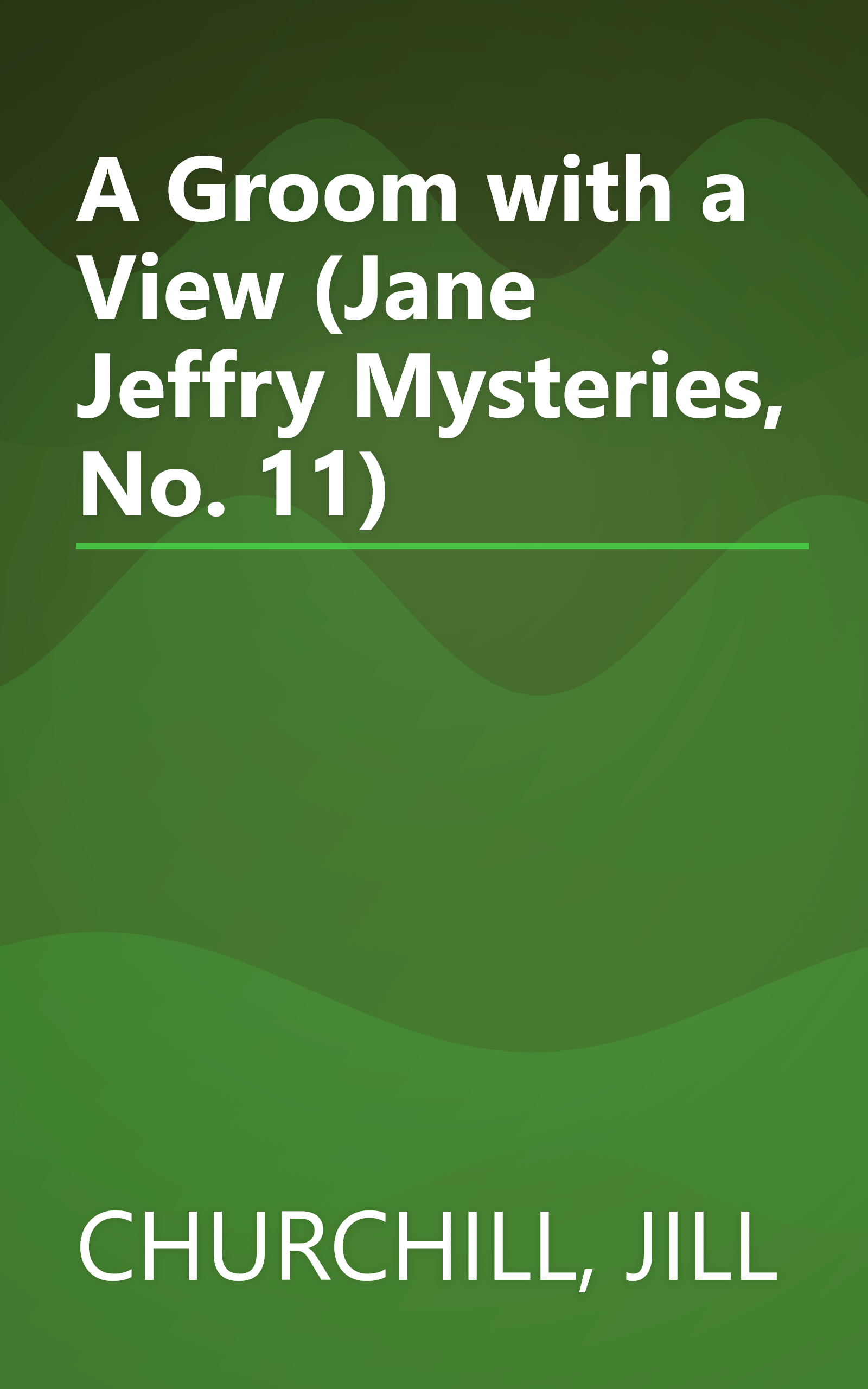 A Groom with a View (Jane Jeffry Mysteries, No. 11) book cover
