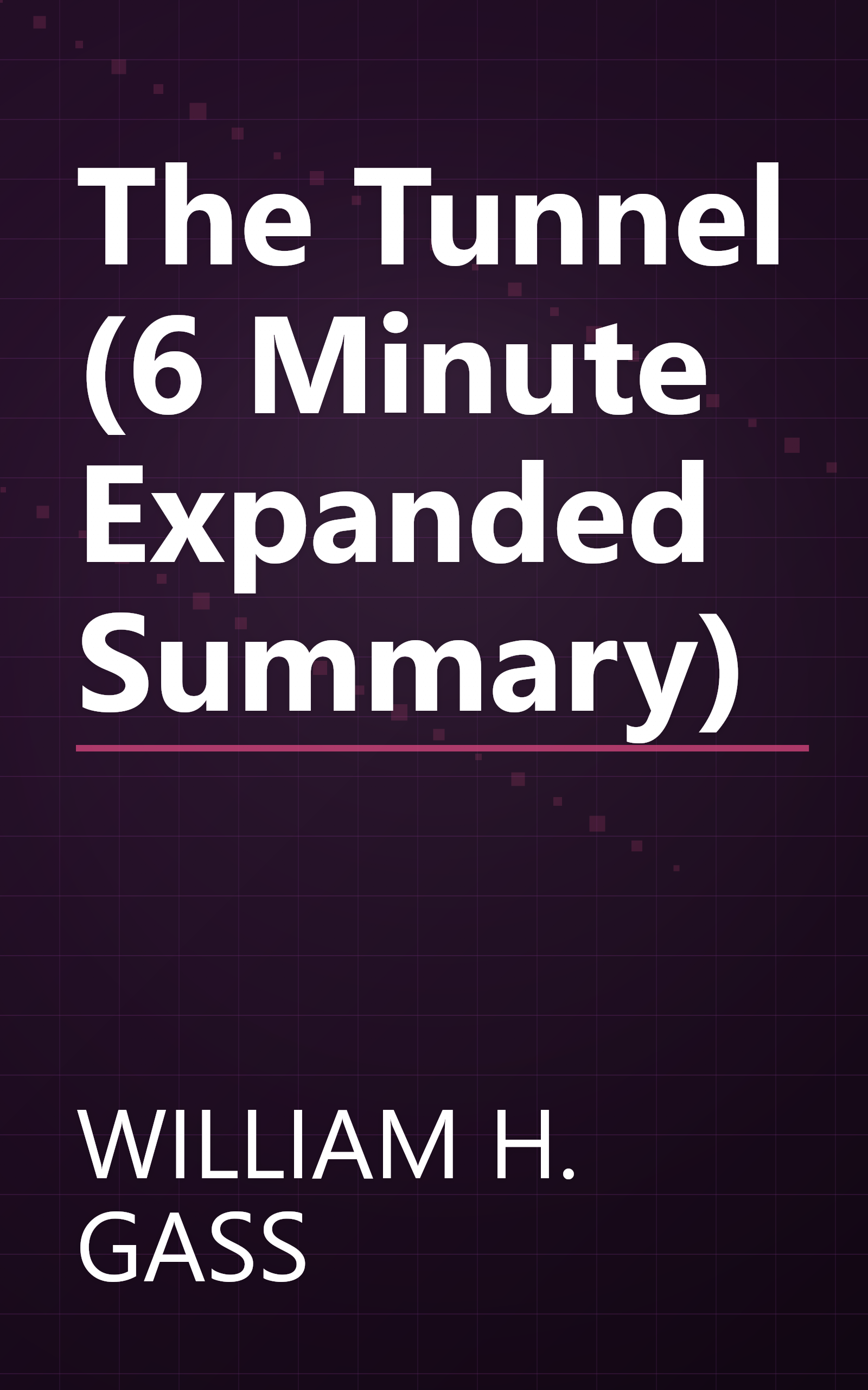 The Tunnel (6 Minute   Expanded Summary) book cover