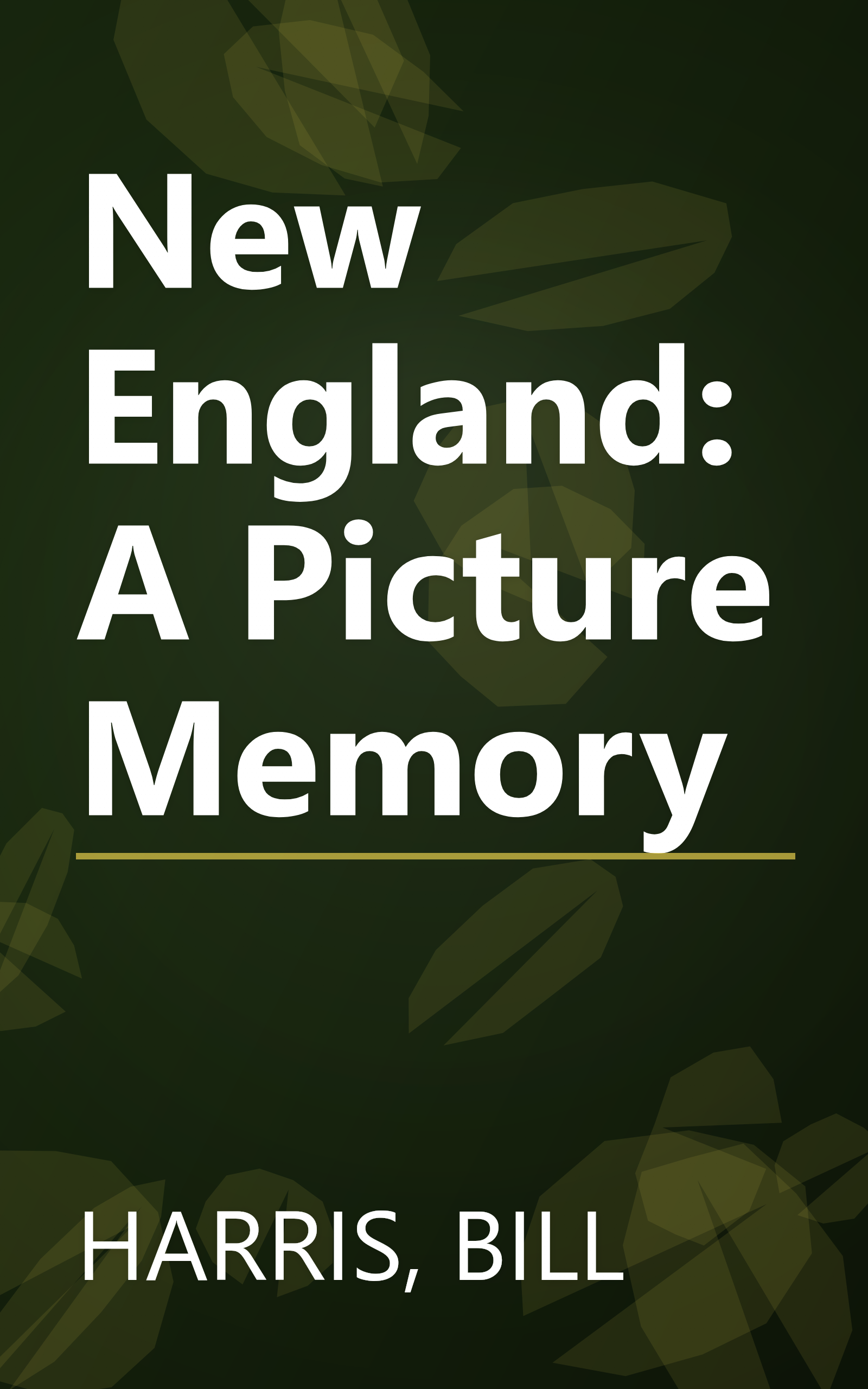 New England: A Picture Memory book cover