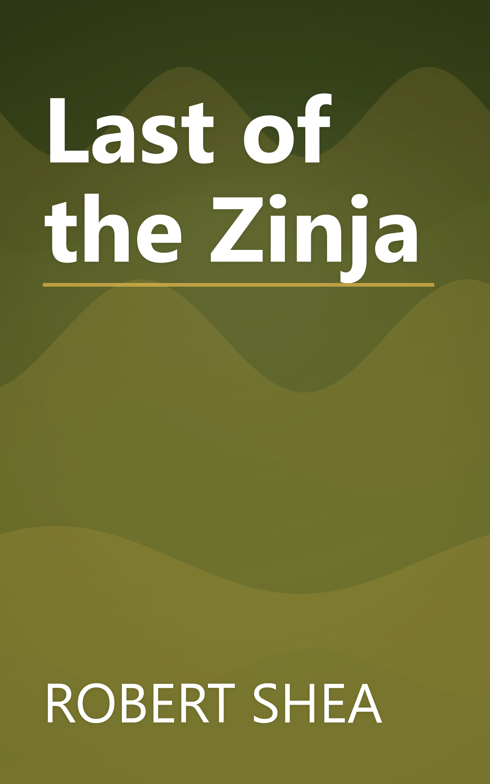 Last of the Zinja book cover