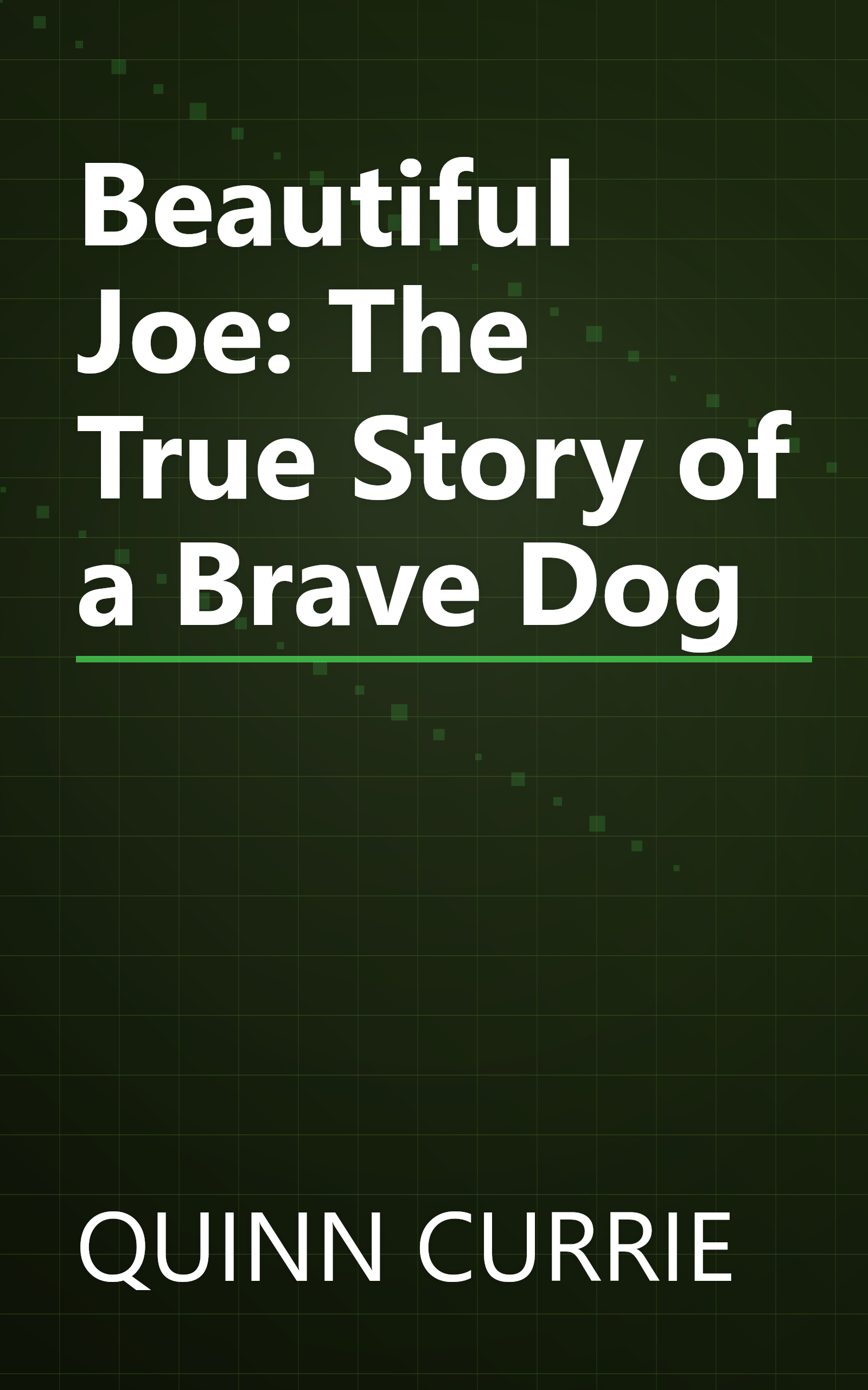Beautiful Joe: The True Story of a Brave Dog book cover
