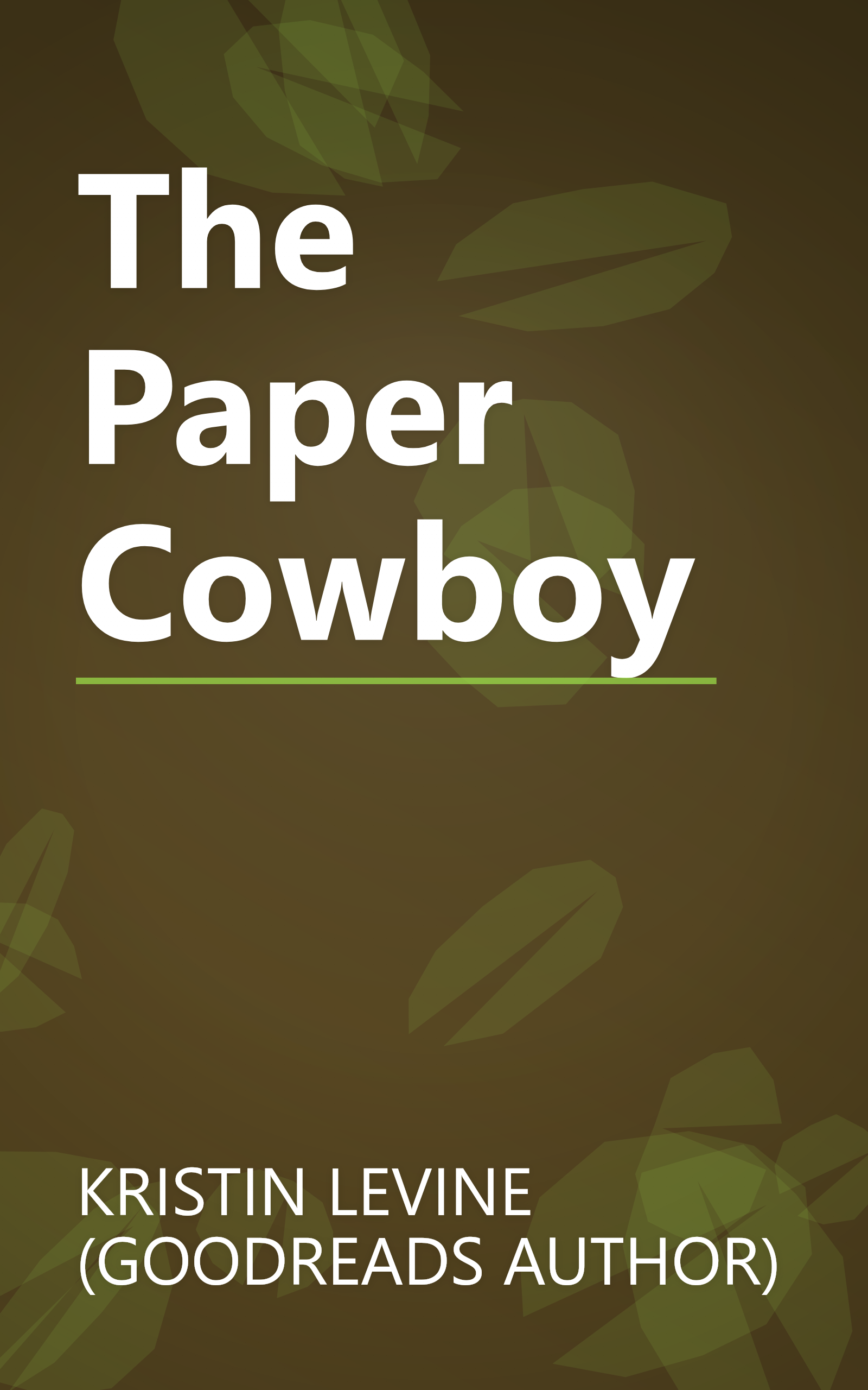 The Paper Cowboy book cover