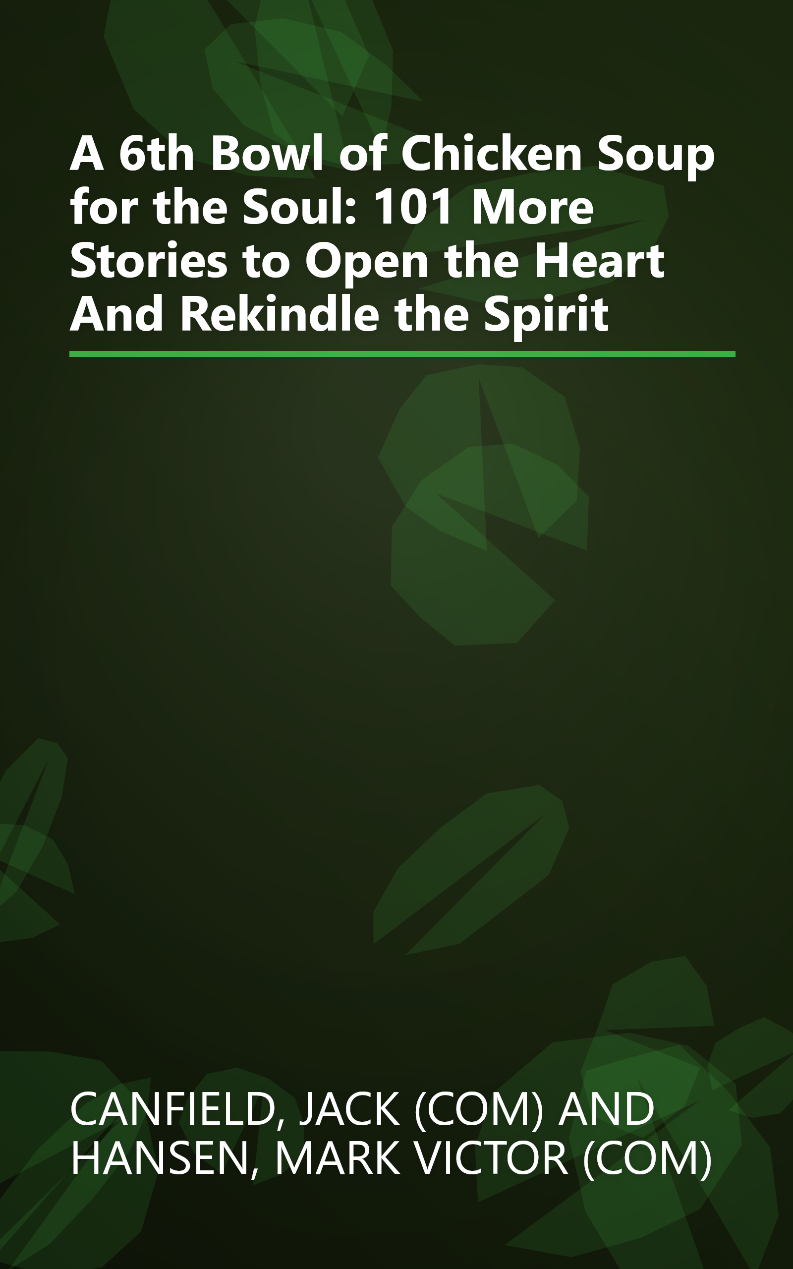 A 6th Bowl of Chicken Soup for the Soul: 101 More Stories to Open the Heart And Rekindle the Spirit book cover