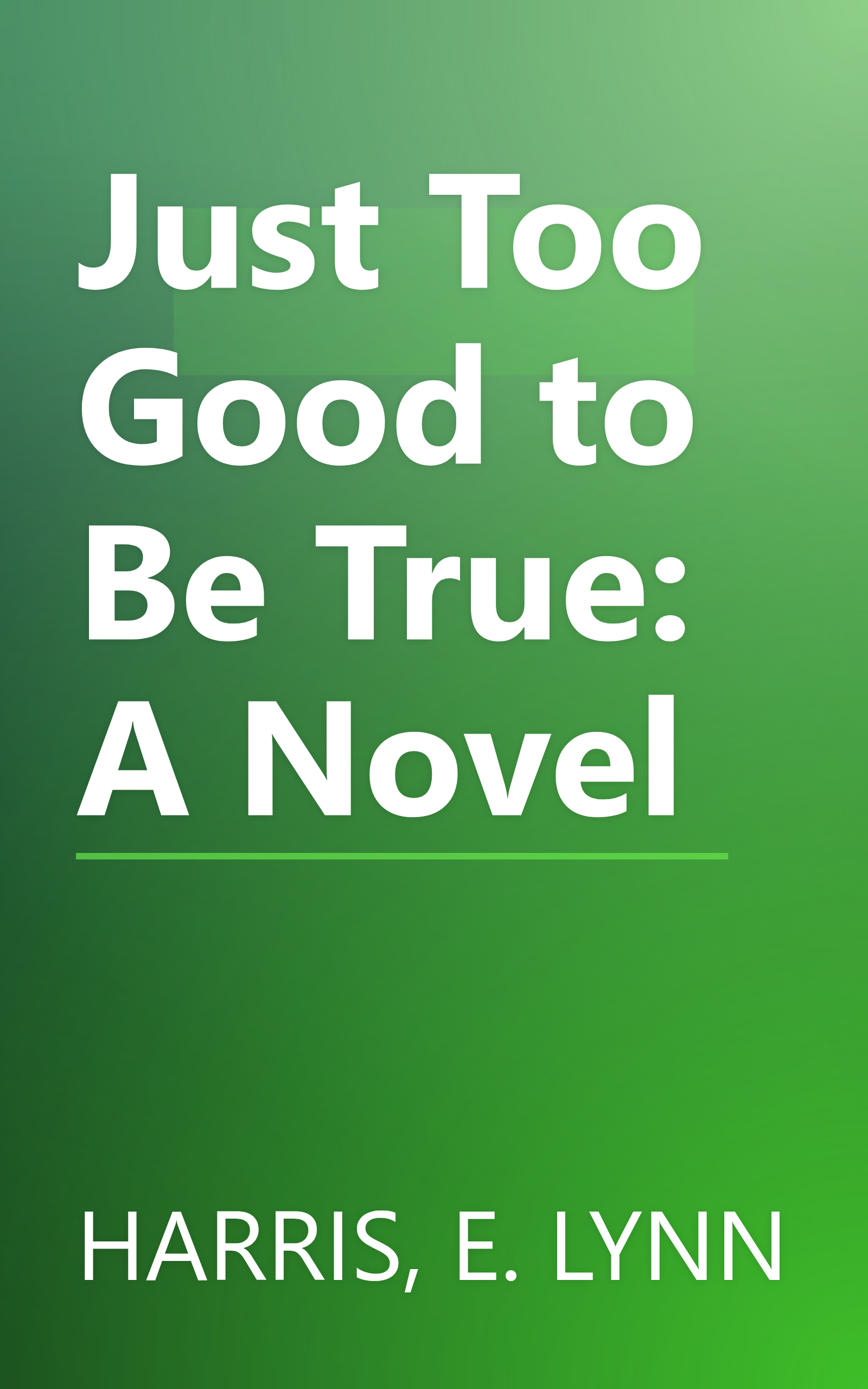 Just Too Good to Be True: A Novel book cover