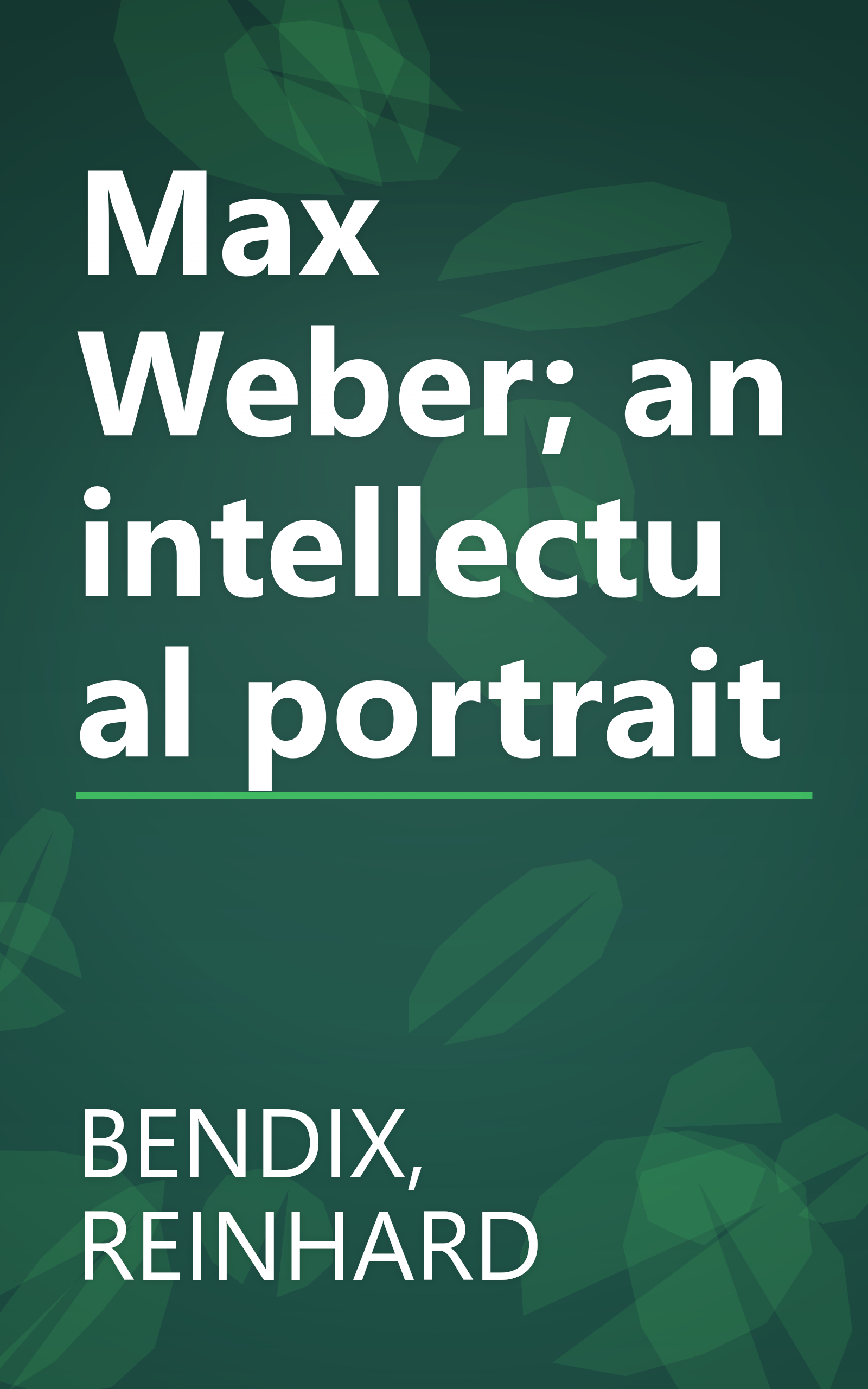 Max Weber; an intellectual portrait book cover