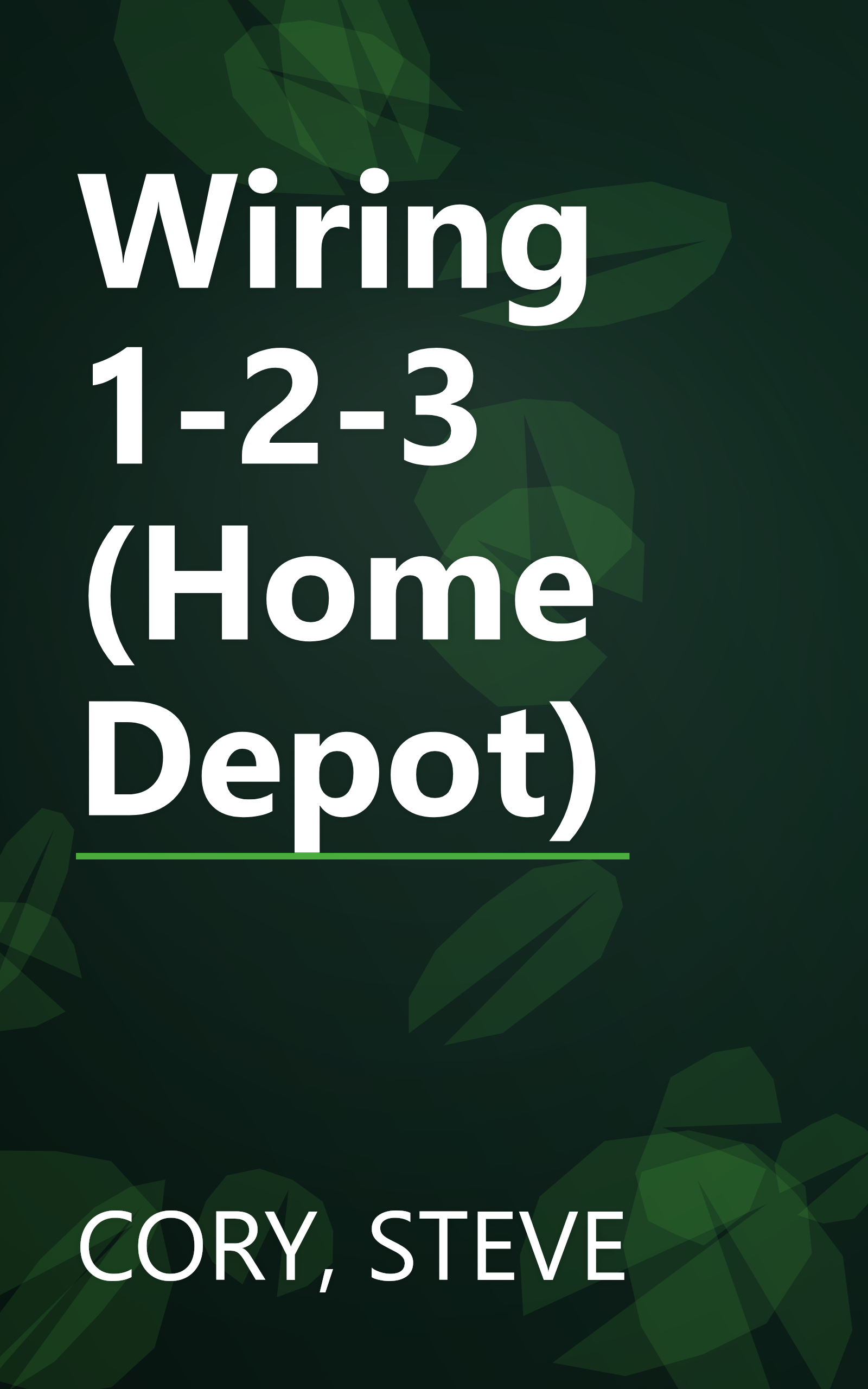 Wiring 1-2-3 (Home Depot) book cover