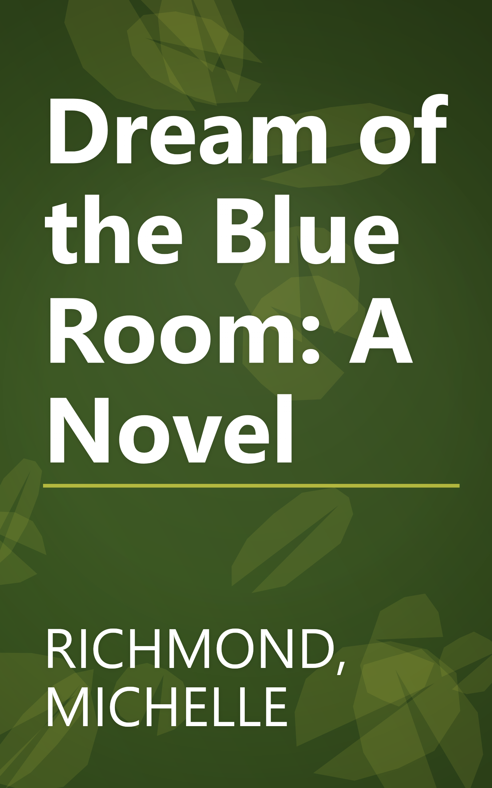 Dream of the Blue Room: A Novel book cover