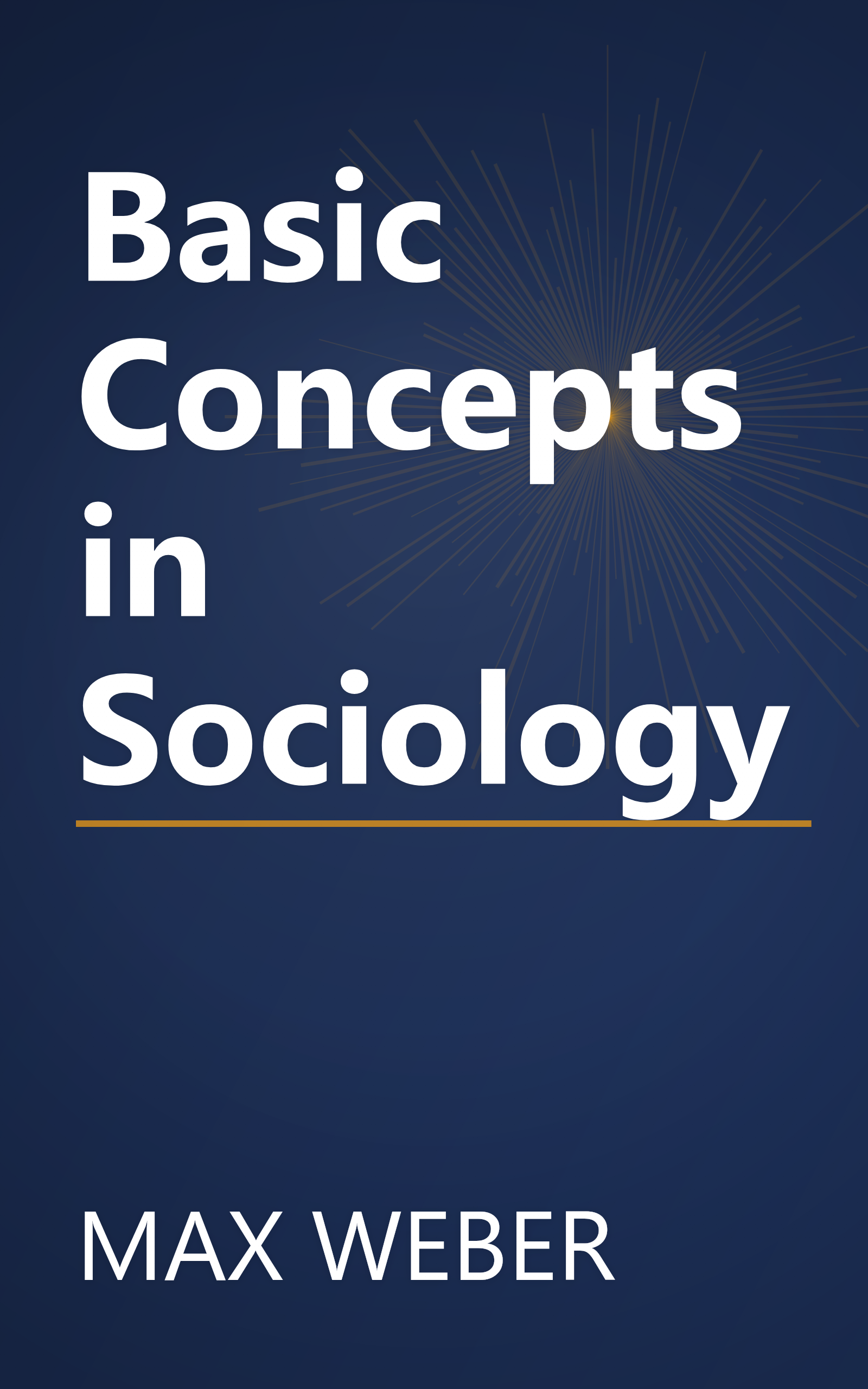 Basic Concepts in Sociology book cover