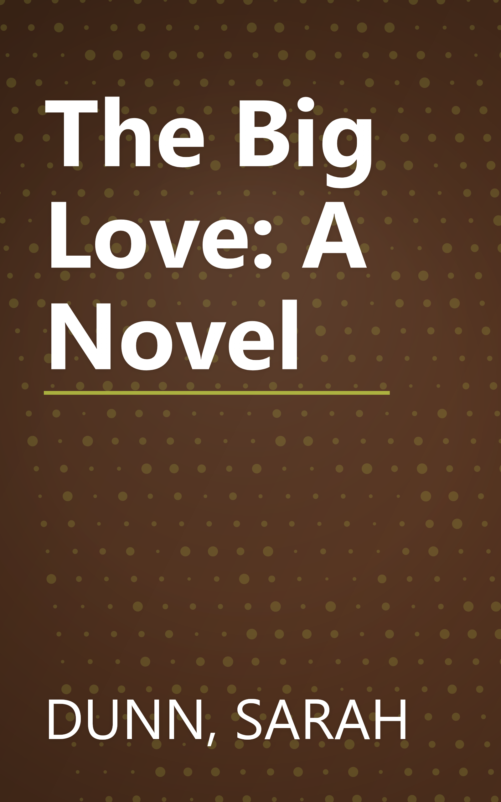 The Big Love: A Novel book cover