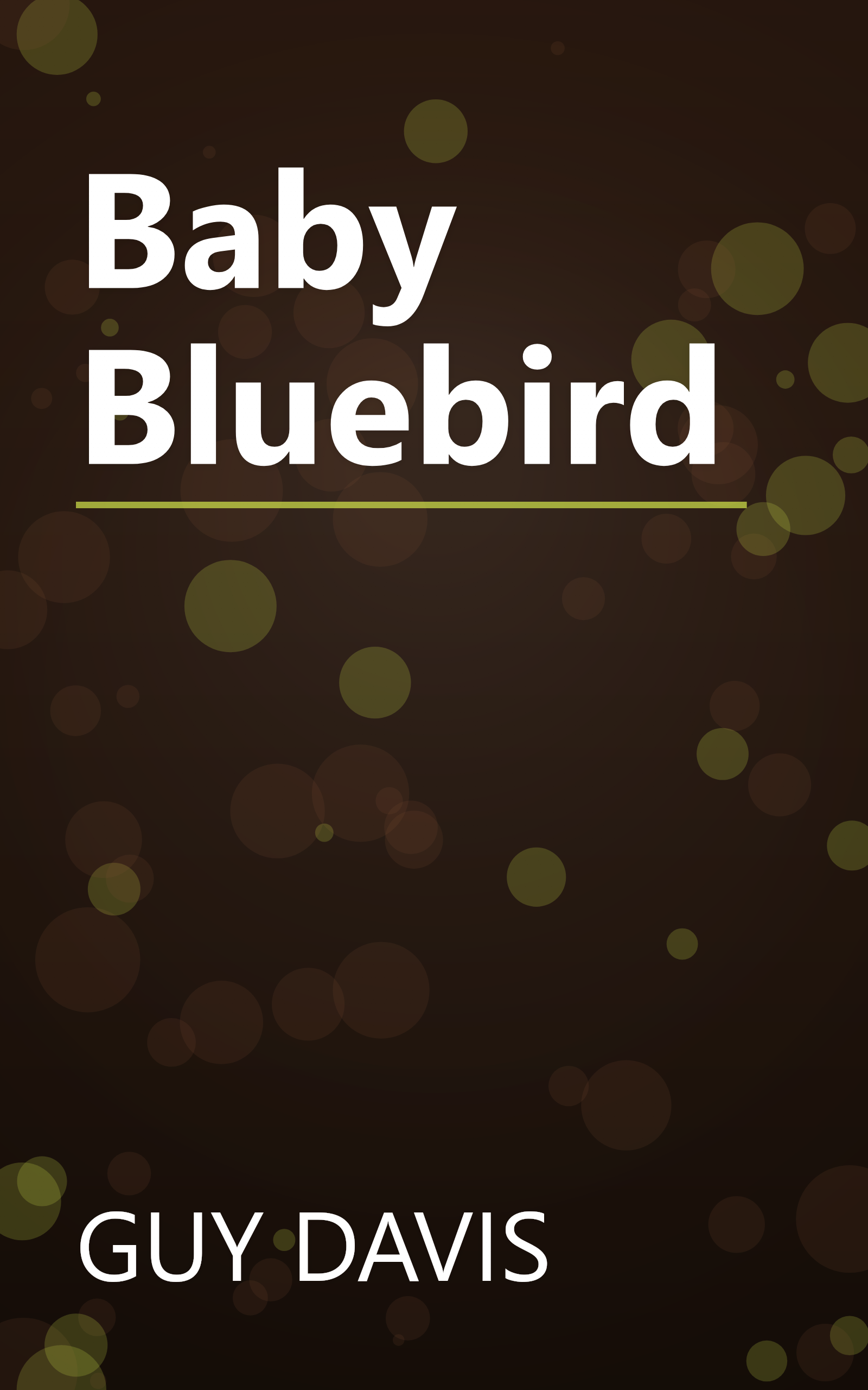 Baby Bluebird book cover