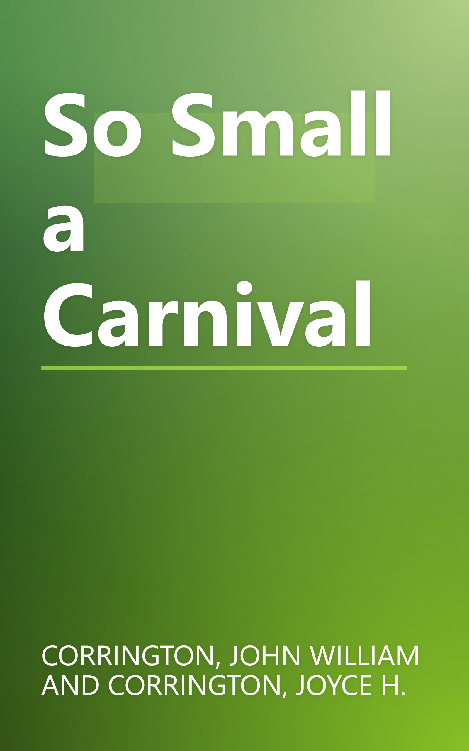 So Small a Carnival book cover