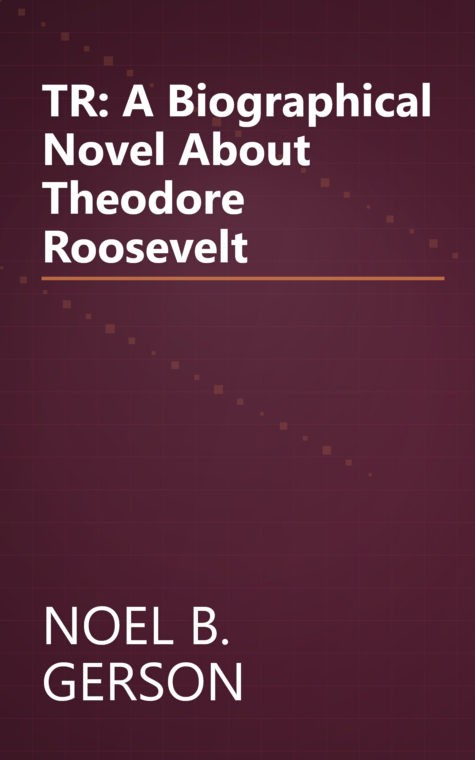 TR: A Biographical Novel About Theodore Roosevelt book cover