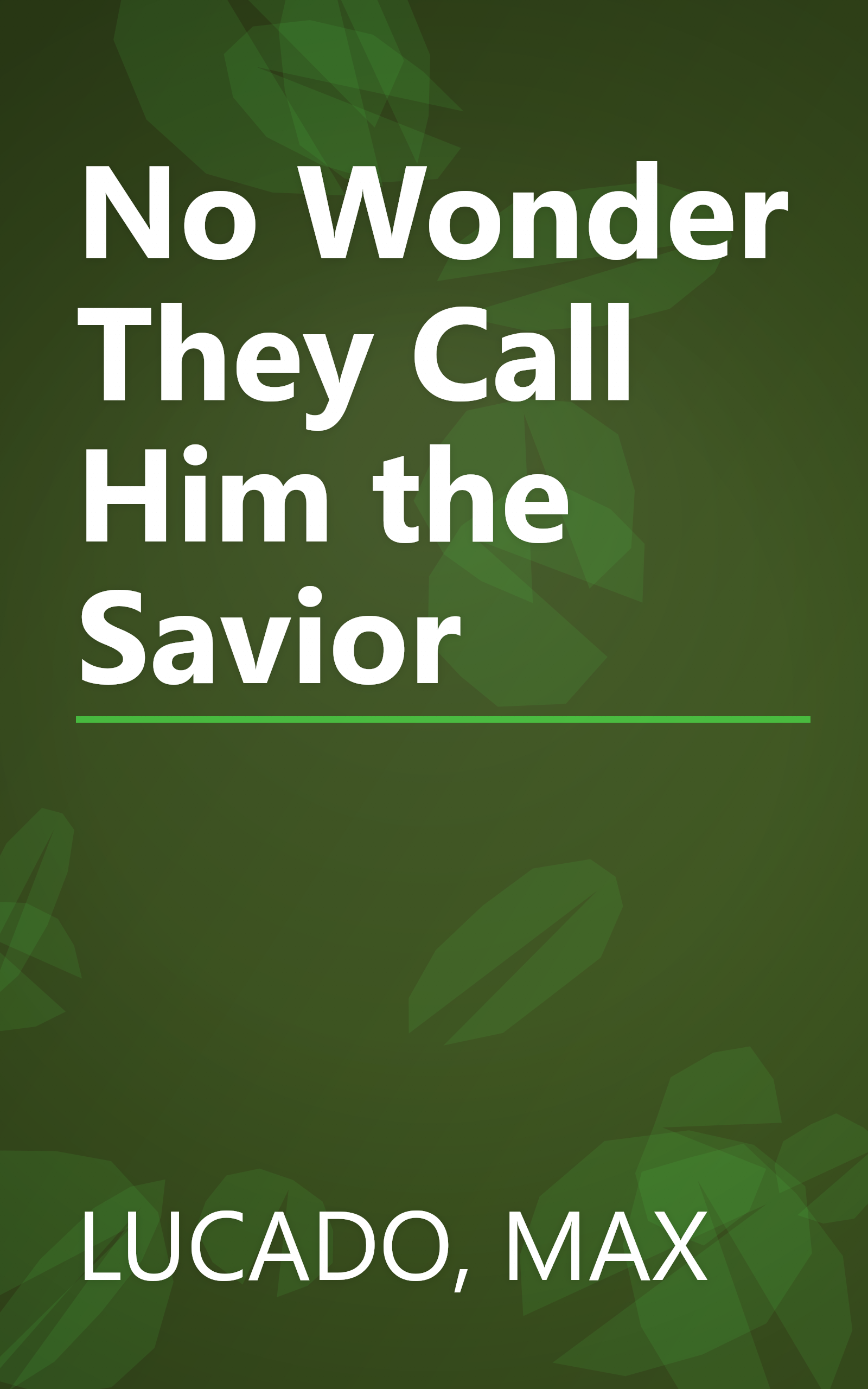 No Wonder They Call Him the Savior book cover