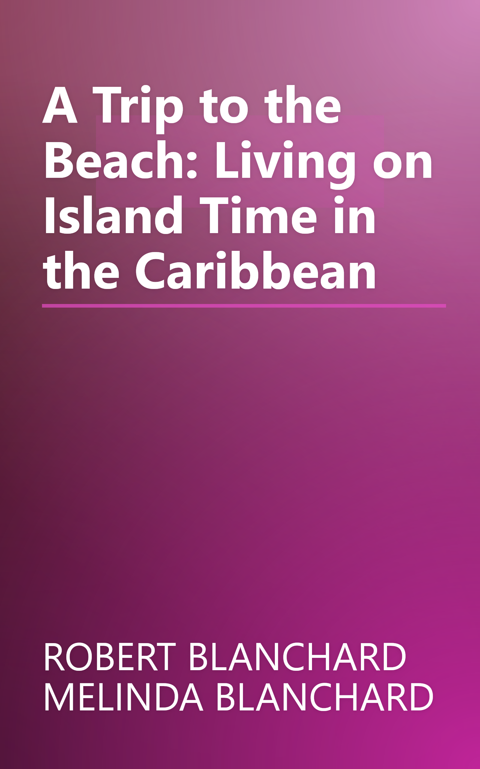 A Trip to the Beach: Living on Island Time in the Caribbean book cover