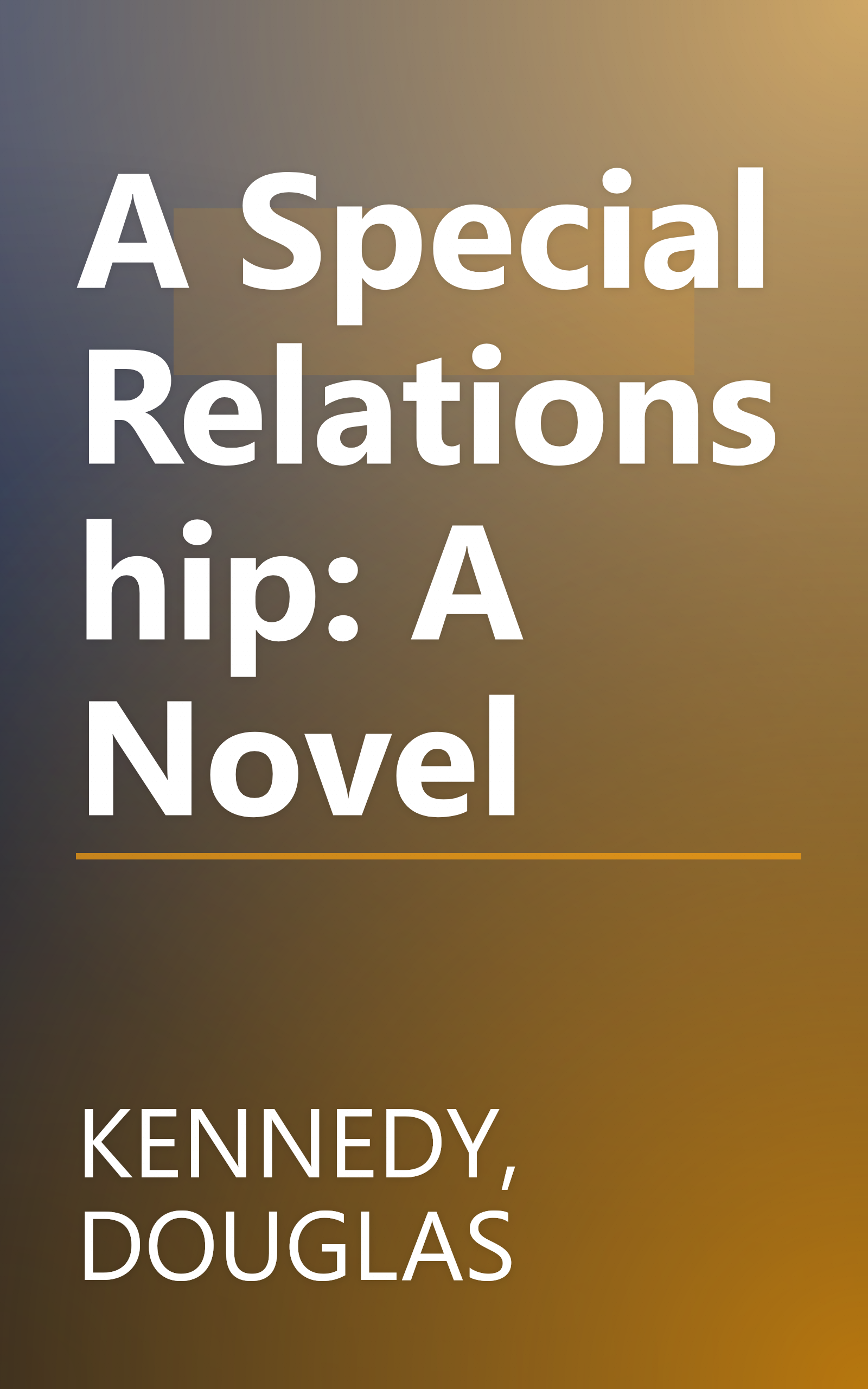 A Special Relationship: A Novel book cover