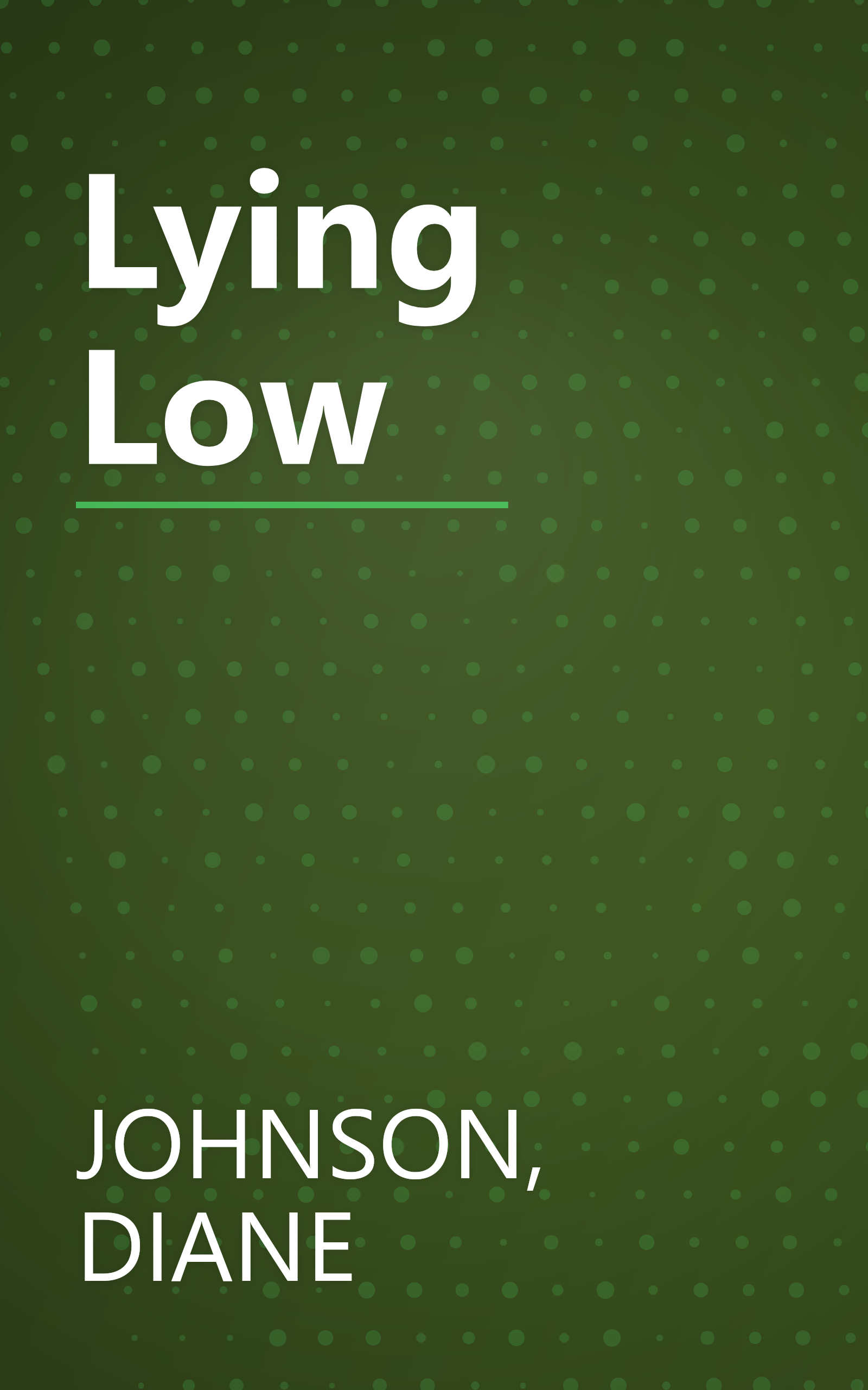 Lying Low book cover