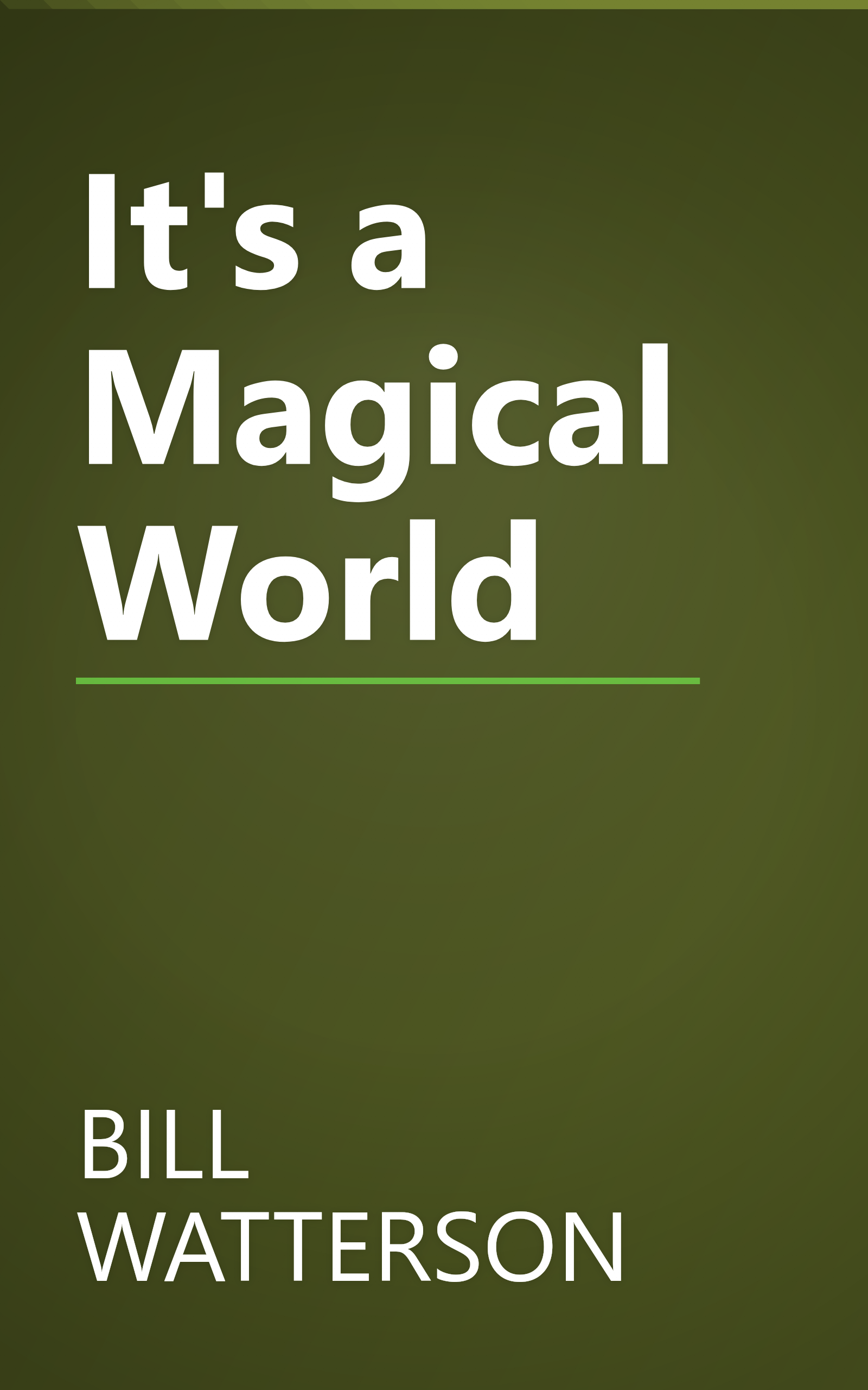 It's a Magical World book cover