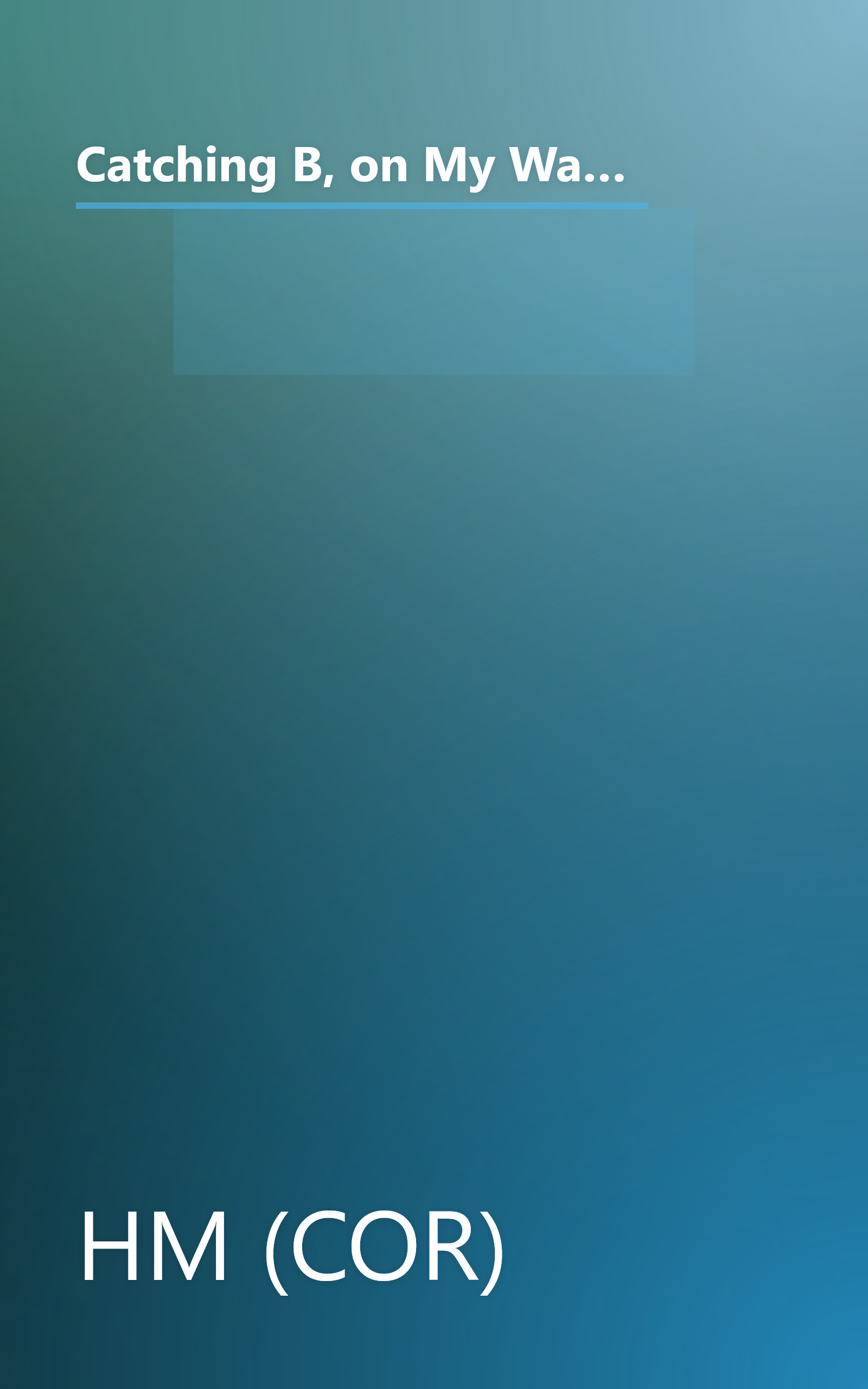 Catching B, on My Way Grade 2 Theme 3: Houghton Mifflin the Nation's Choice (Houghton Mifflin Reading: The Nation's Choice) book cover