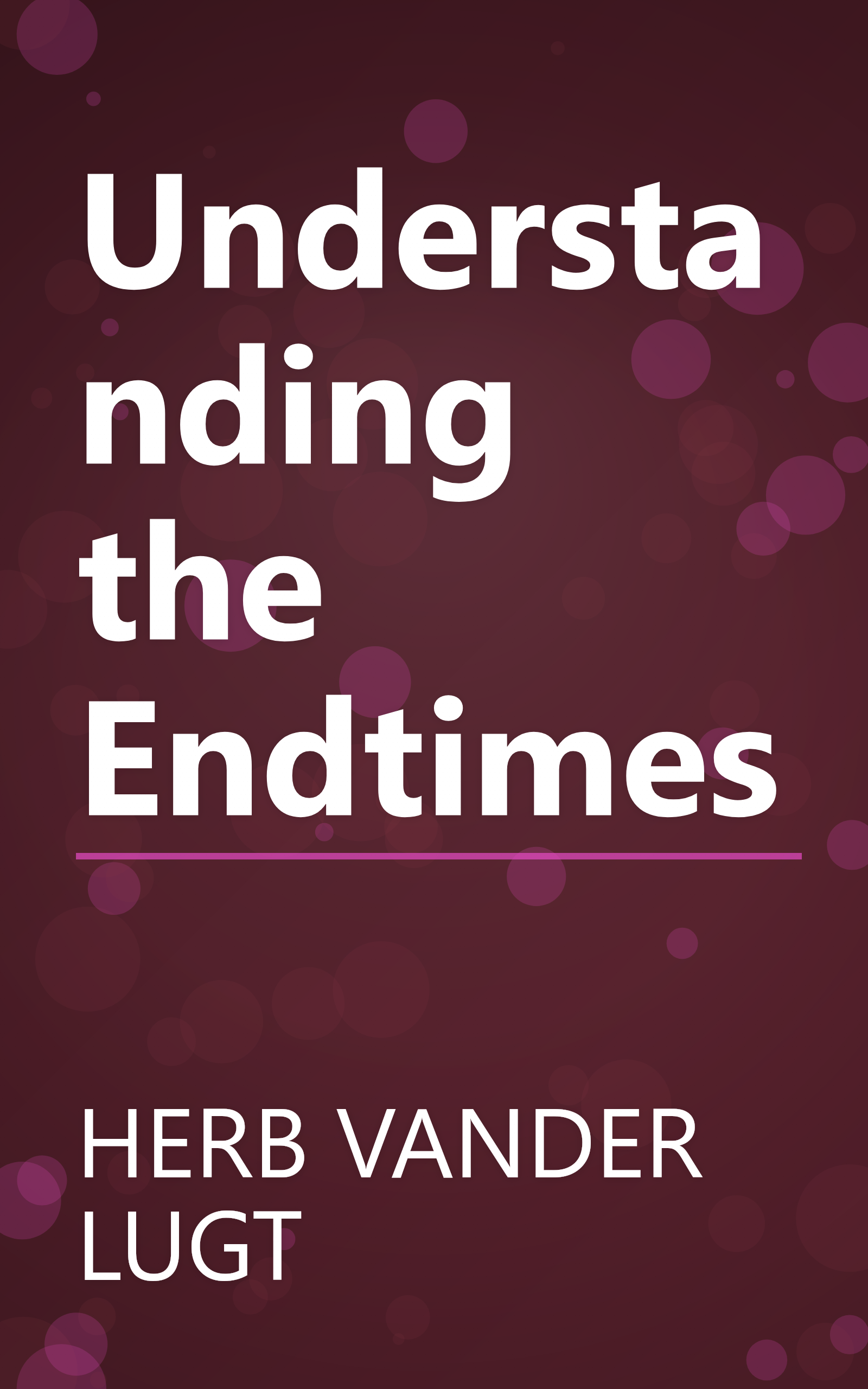Understanding the Endtimes book cover