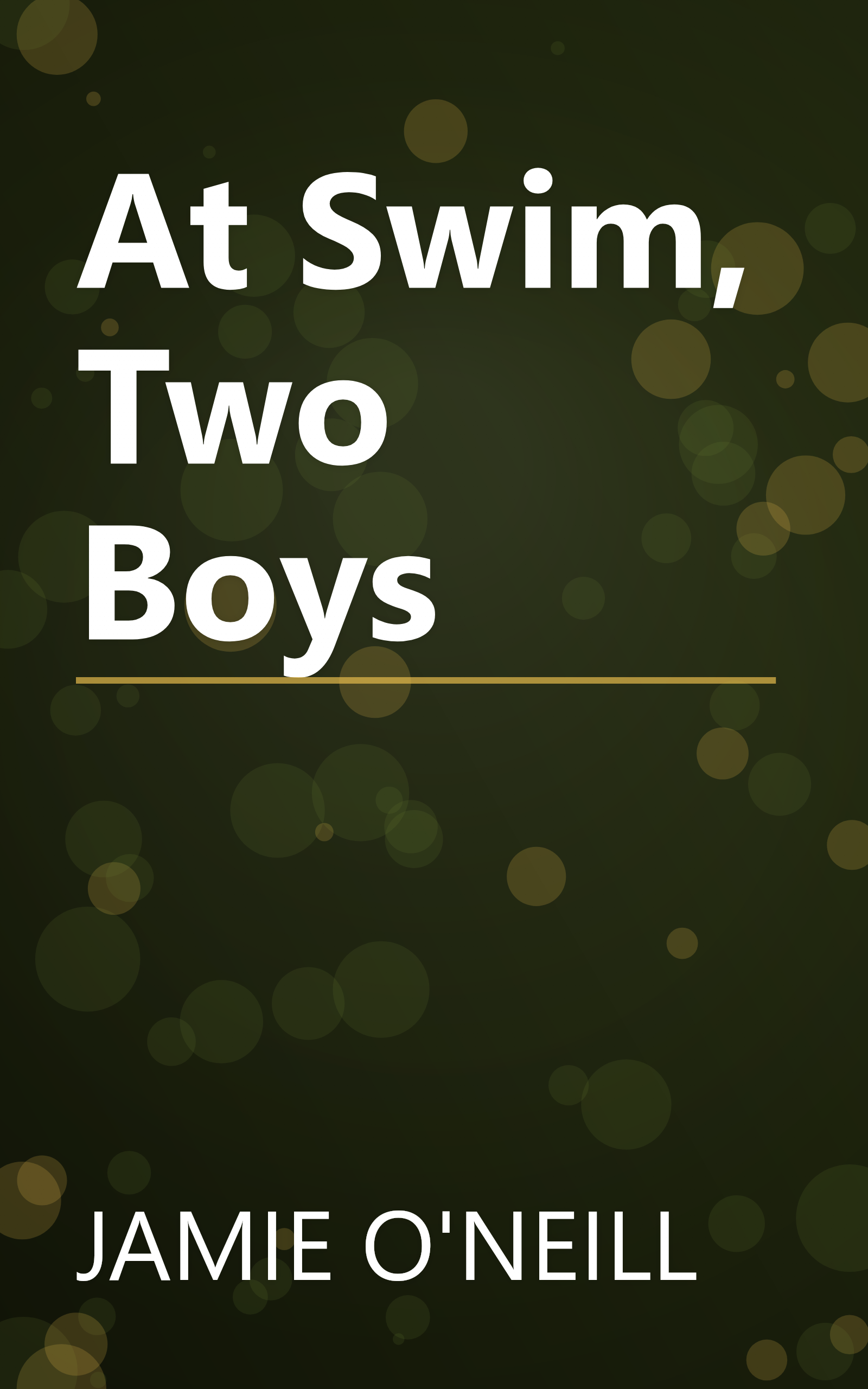 At Swim, Two Boys book cover