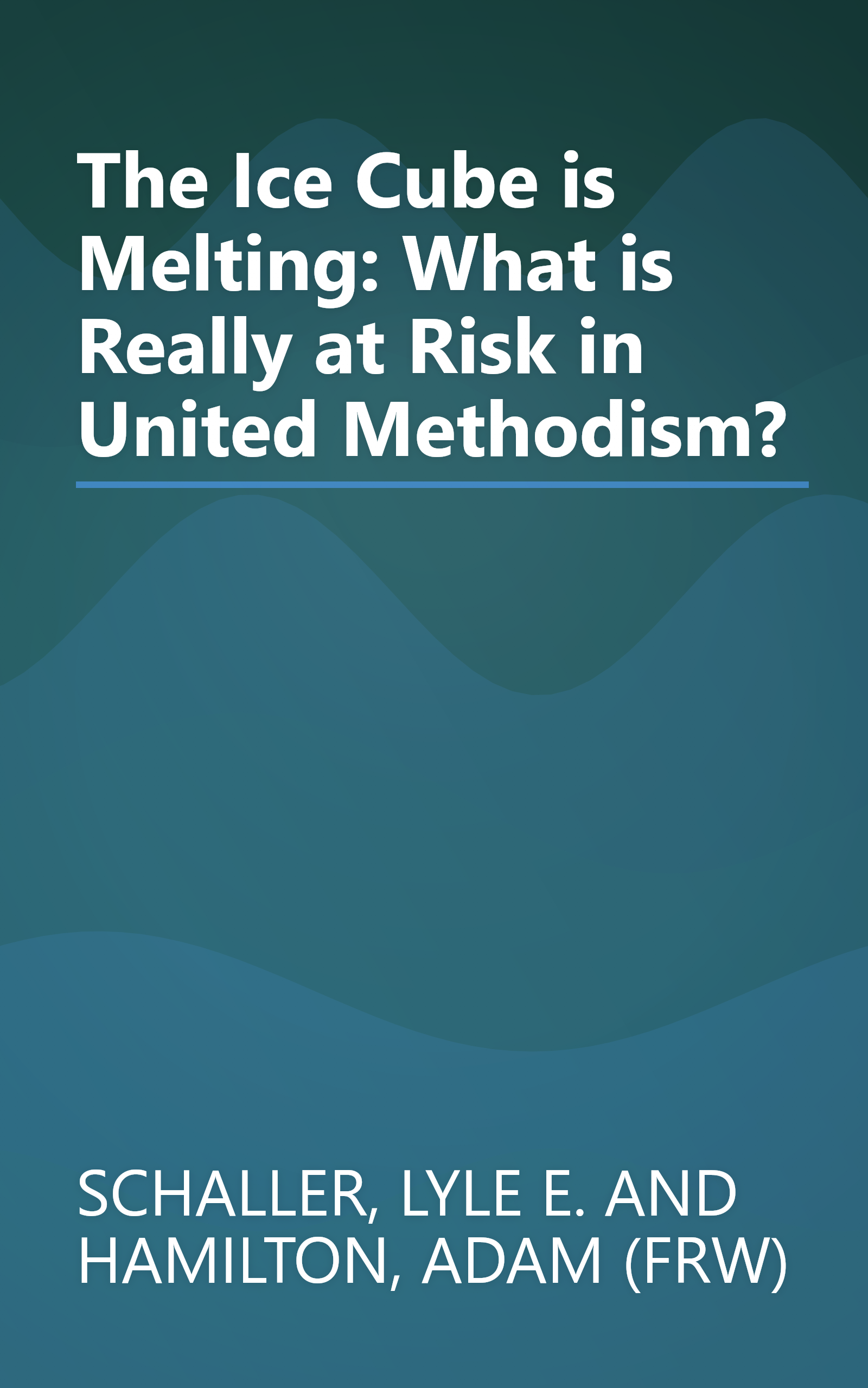The Ice Cube is Melting: What is Really at Risk in United Methodism? book cover