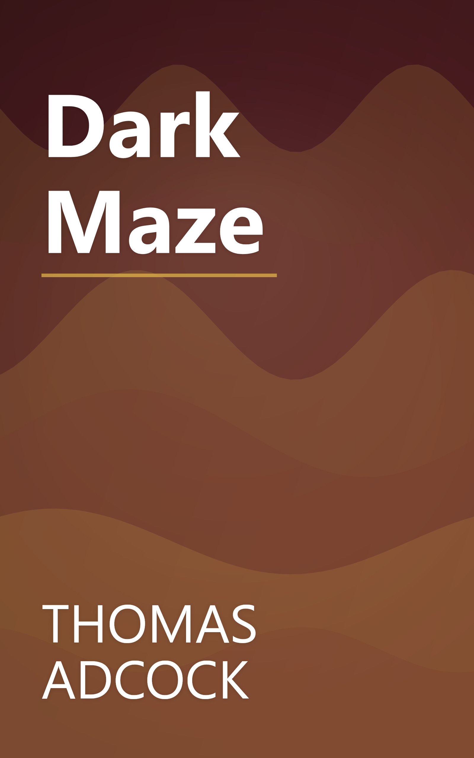 Dark Maze book cover