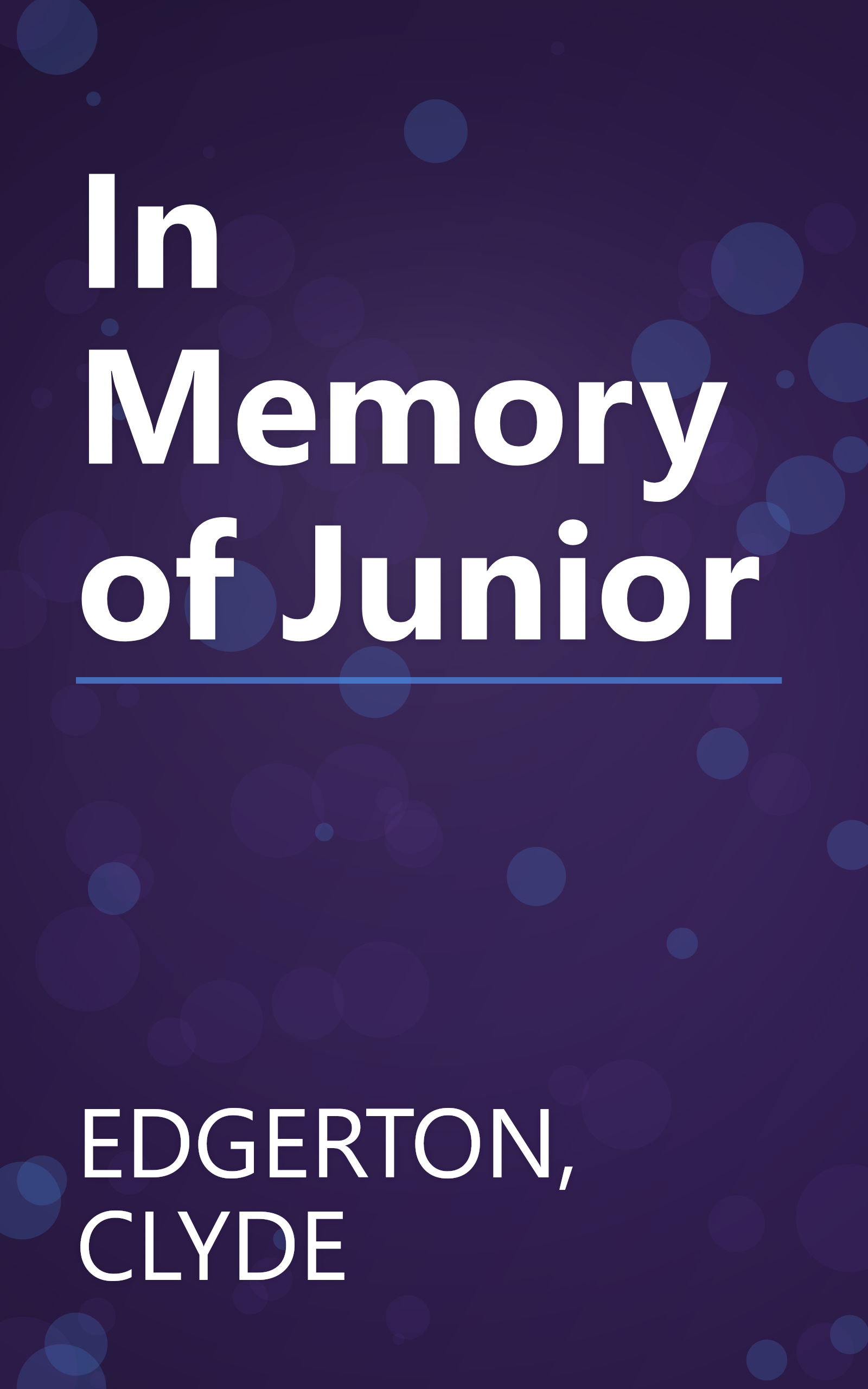 In Memory of Junior book cover