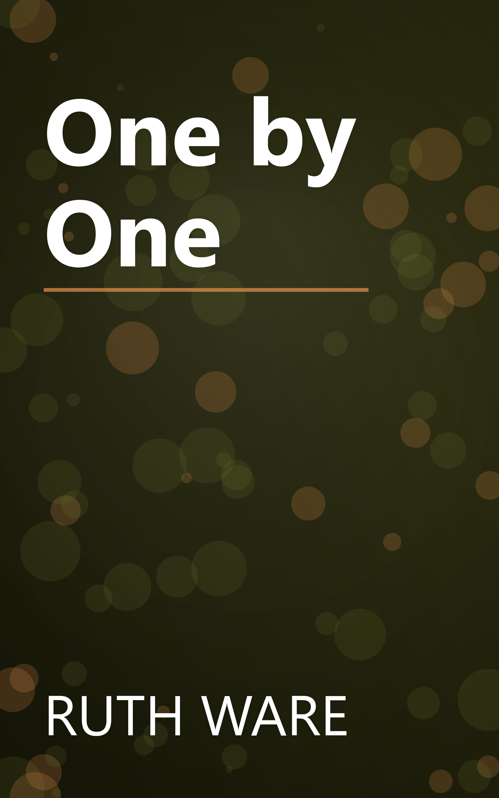 One by One book cover
