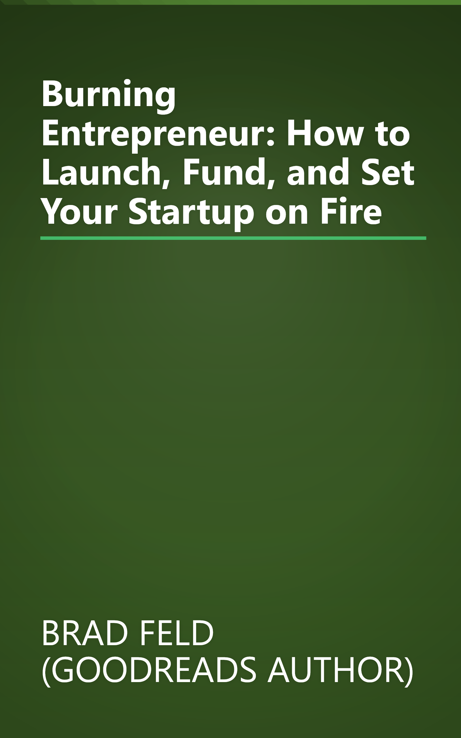 Burning Entrepreneur: How to Launch, Fund, and Set Your Startup on Fire book cover