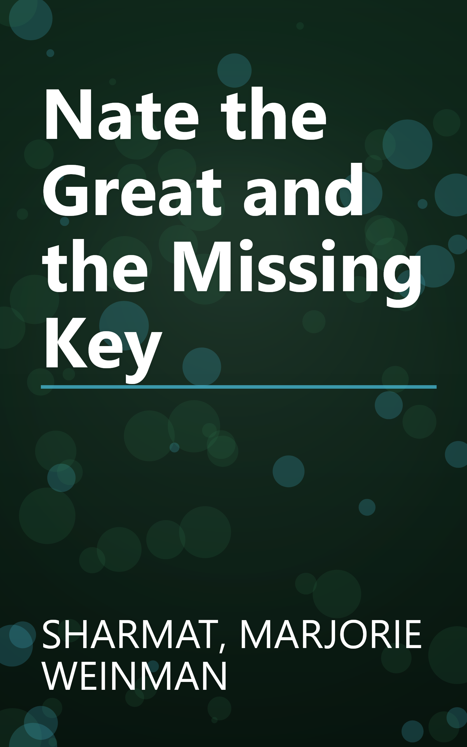 Nate the Great and the Missing Key book cover