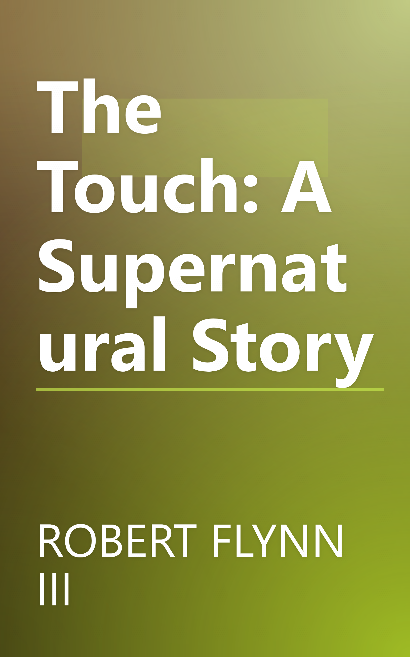 The Touch: A Supernatural Story book cover