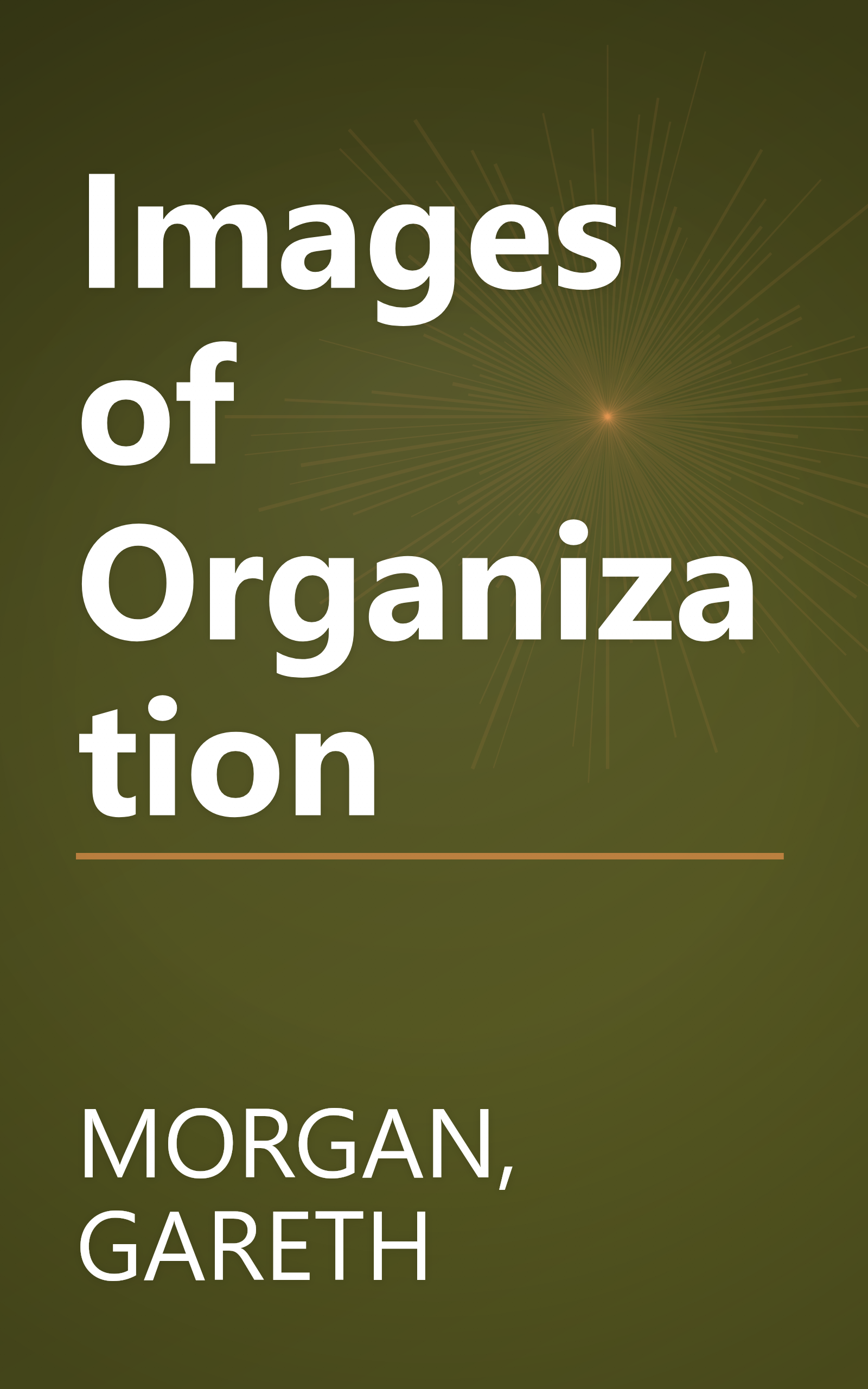 Images of Organization book cover