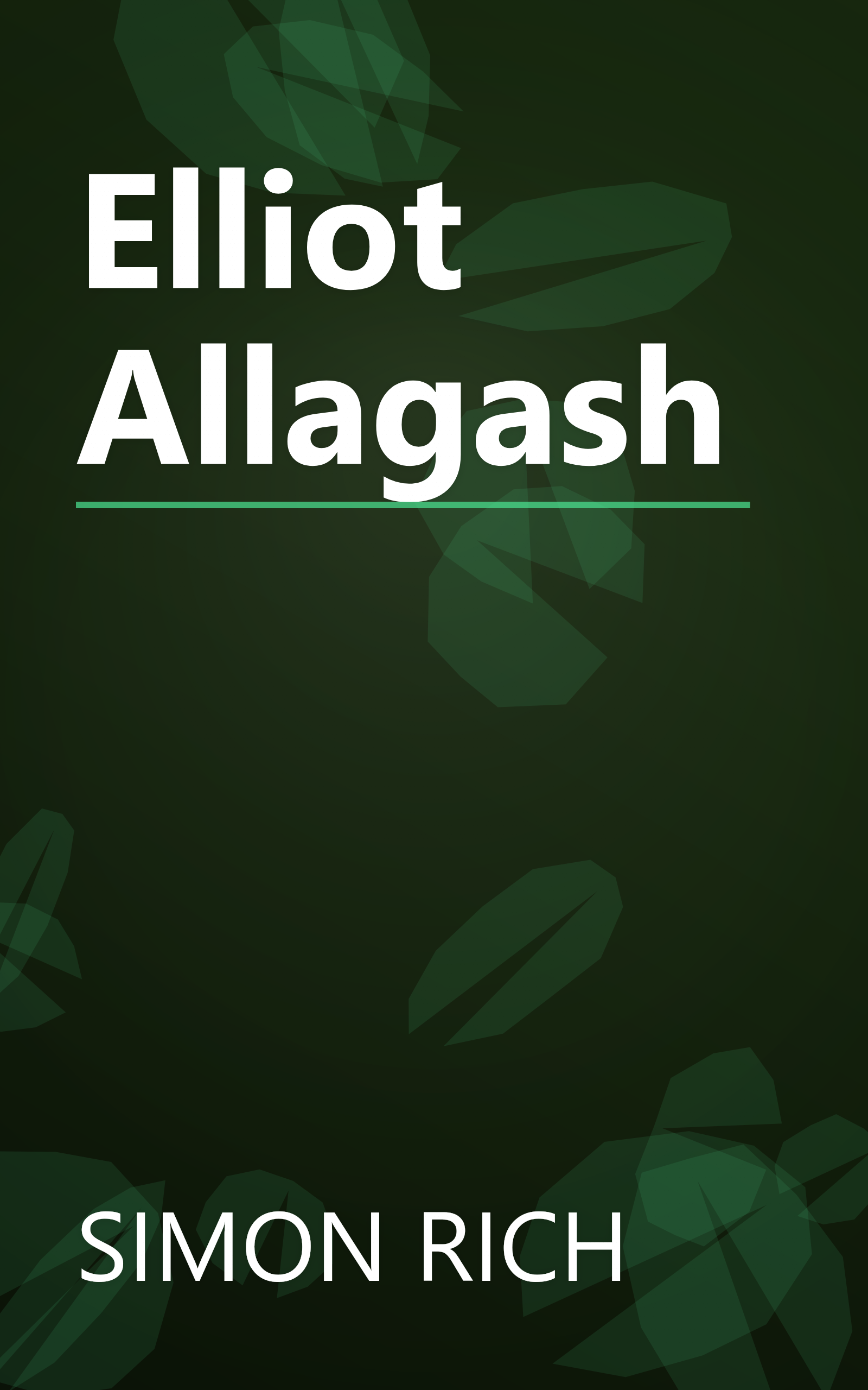 Elliot Allagash book cover