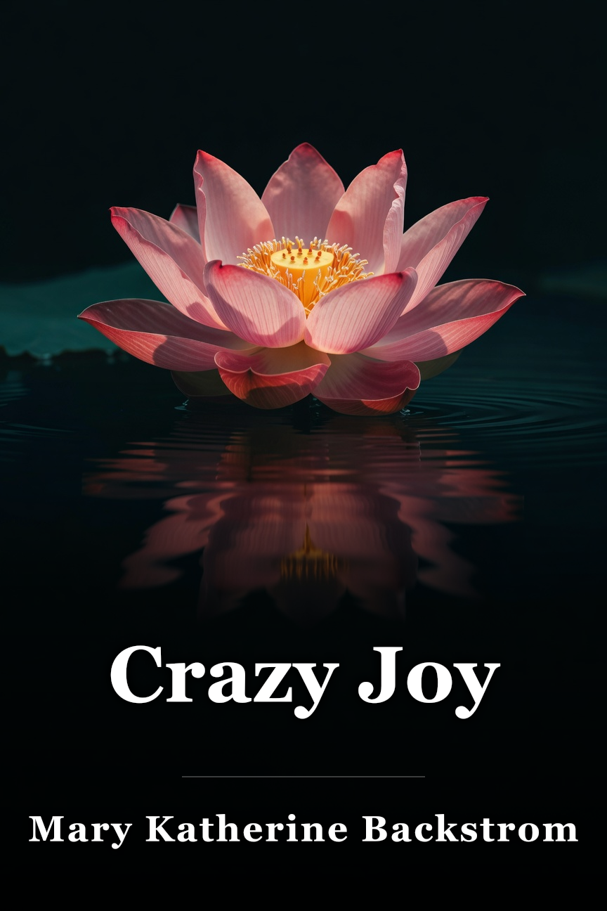 Crazy Joy book cover