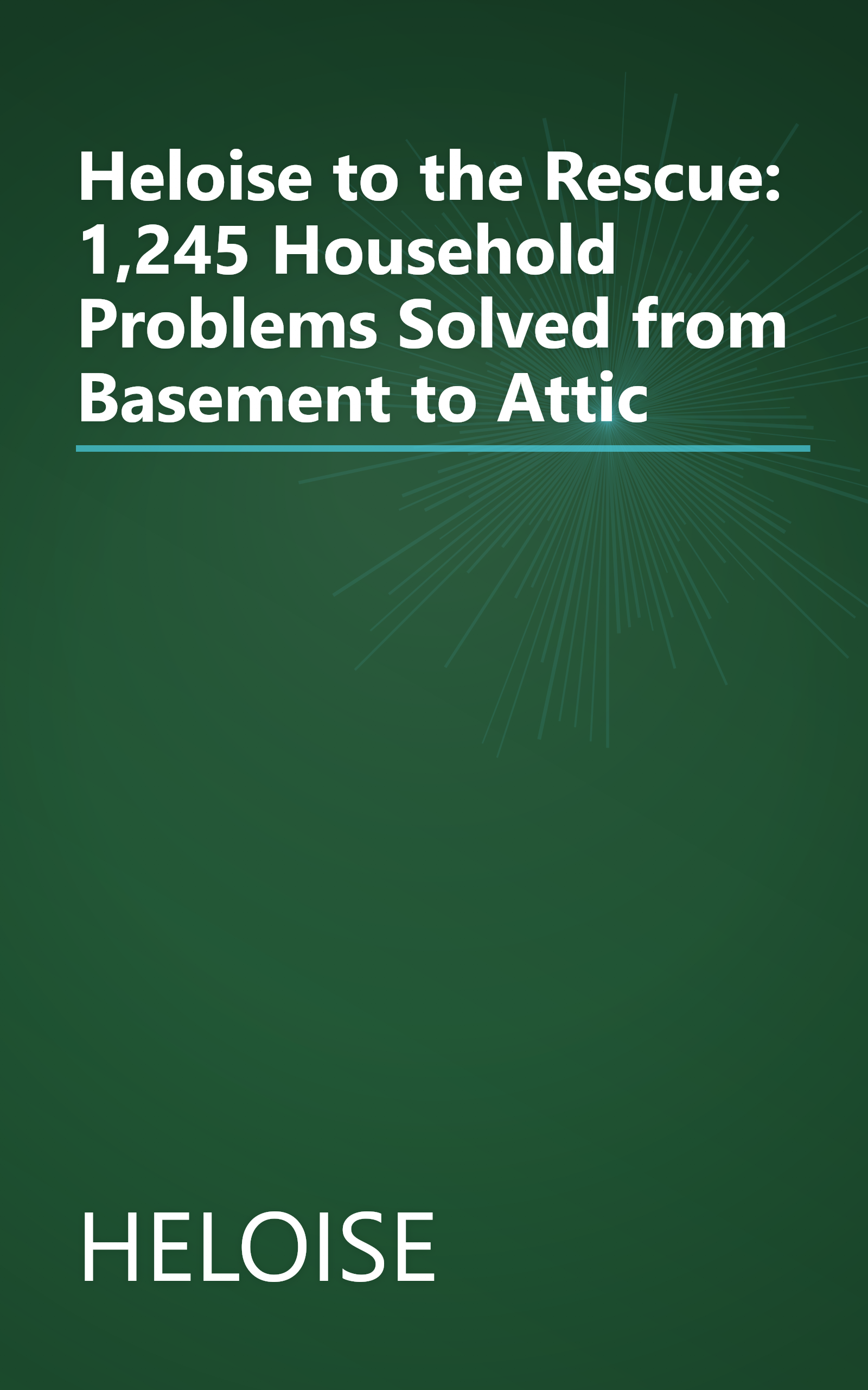 Heloise to the Rescue: 1,245 Household Problems Solved from Basement to Attic book cover