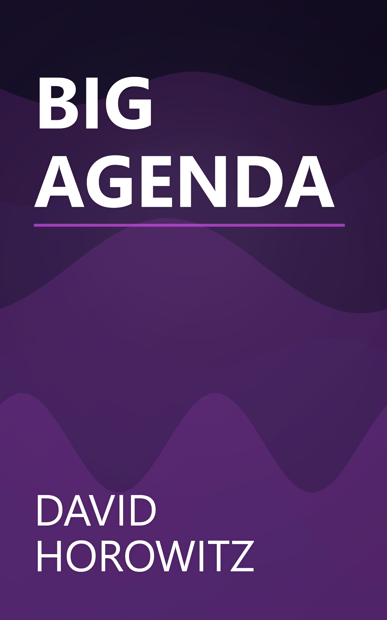BIG AGENDA book cover