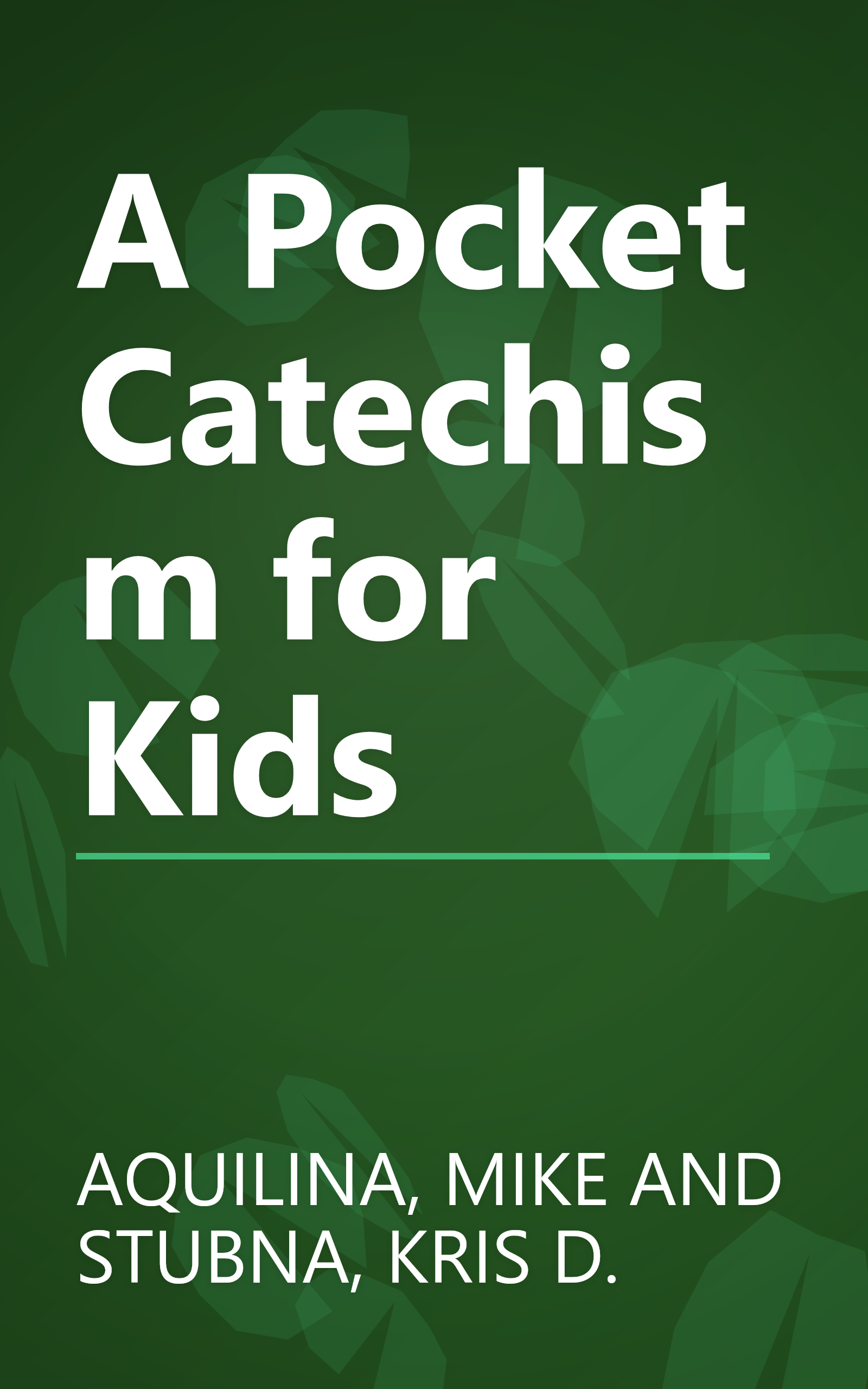 A Pocket Catechism for Kids book cover
