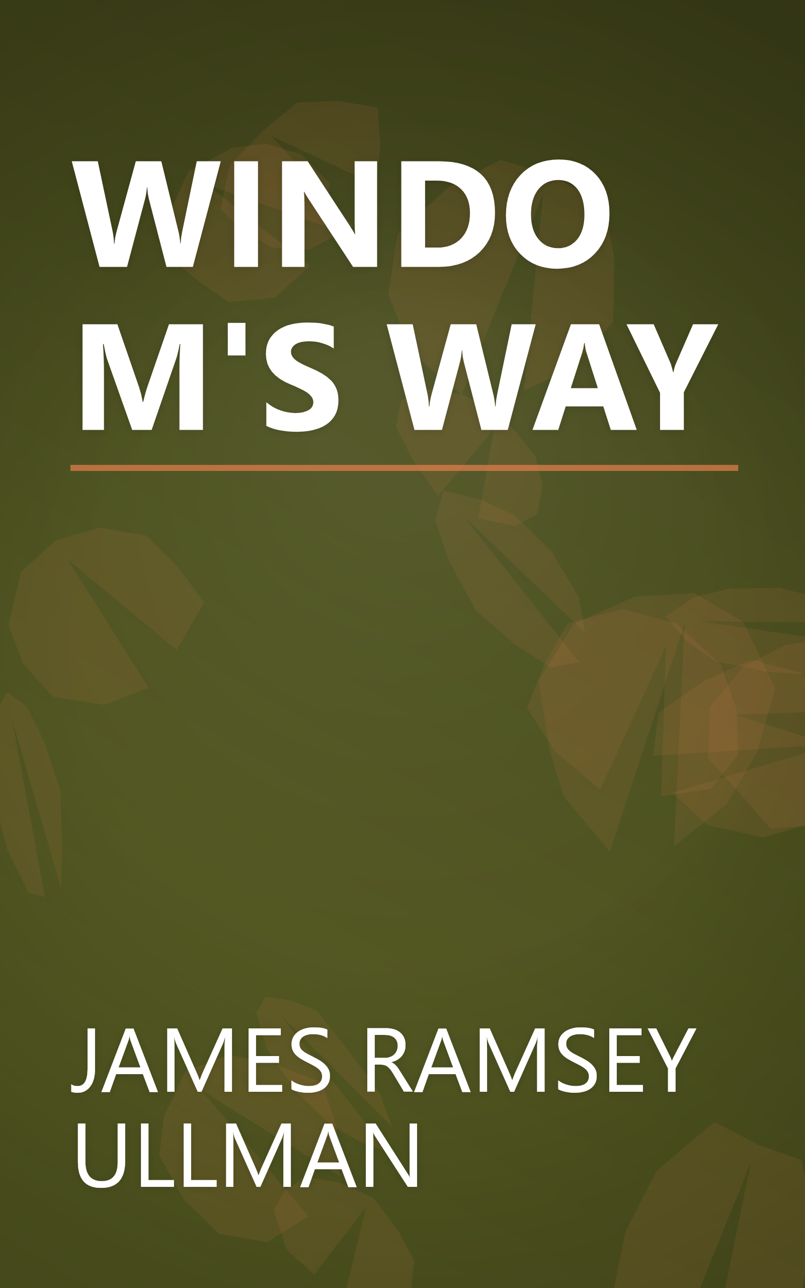 WINDOM'S WAY book cover