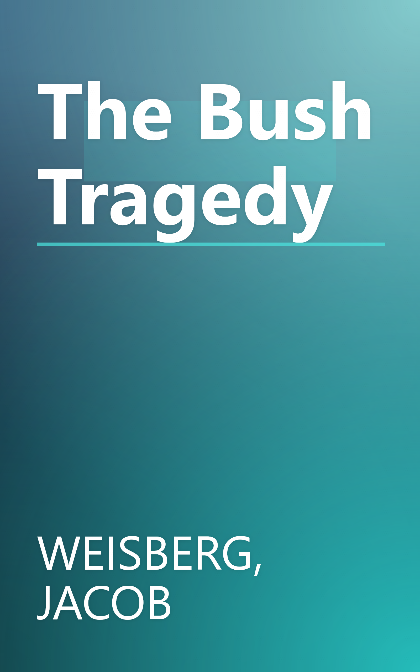 The Bush Tragedy book cover
