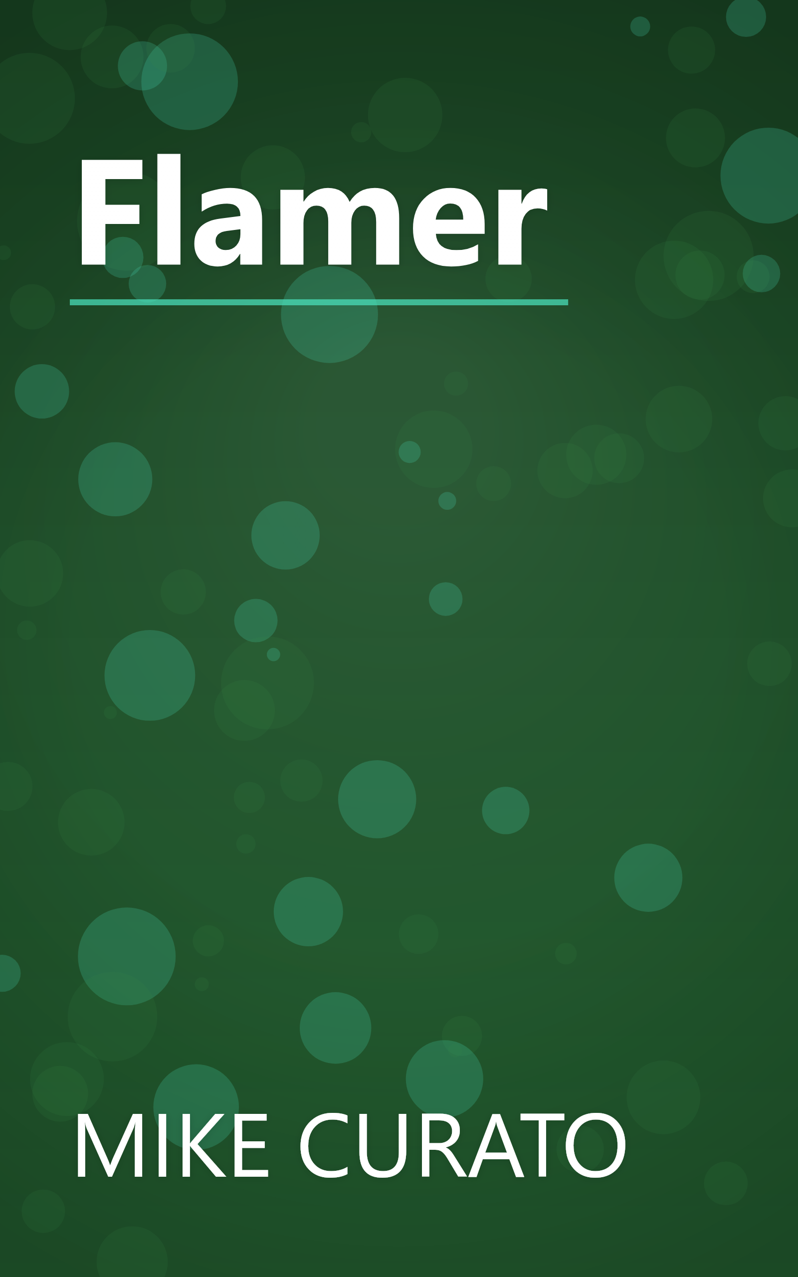 Flamer book cover