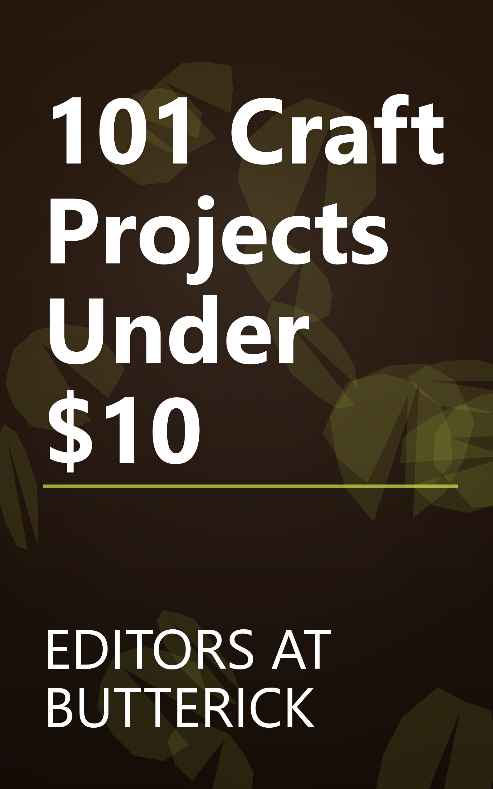101 Craft Projects Under $10 book cover
