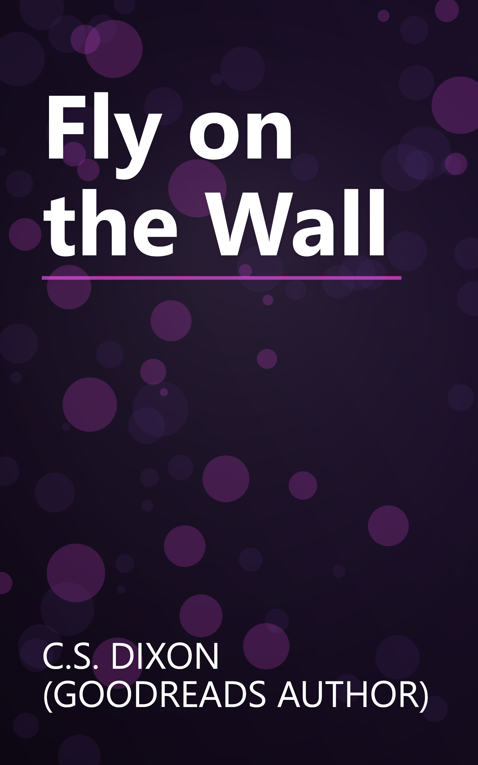 Fly on the Wall book cover