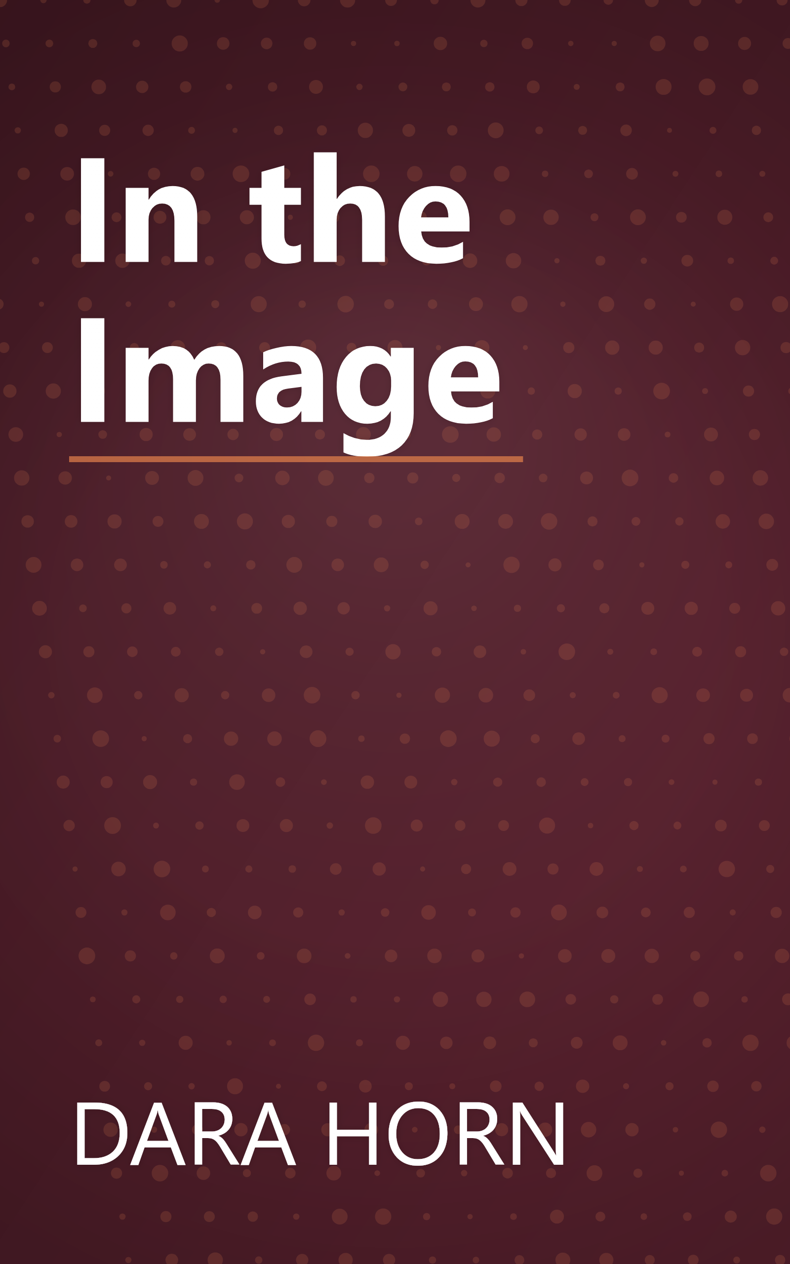 In the Image book cover