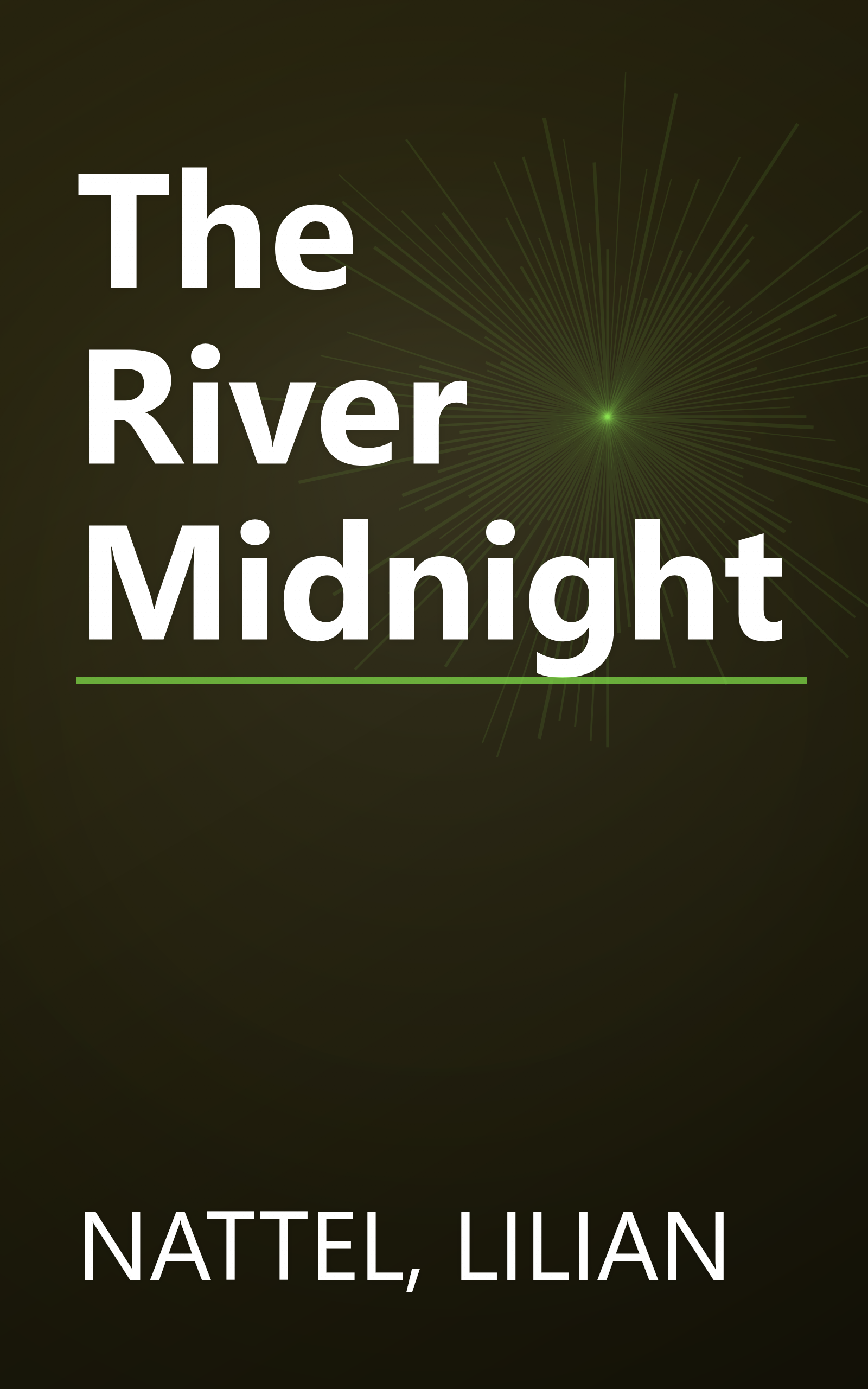 The River Midnight book cover
