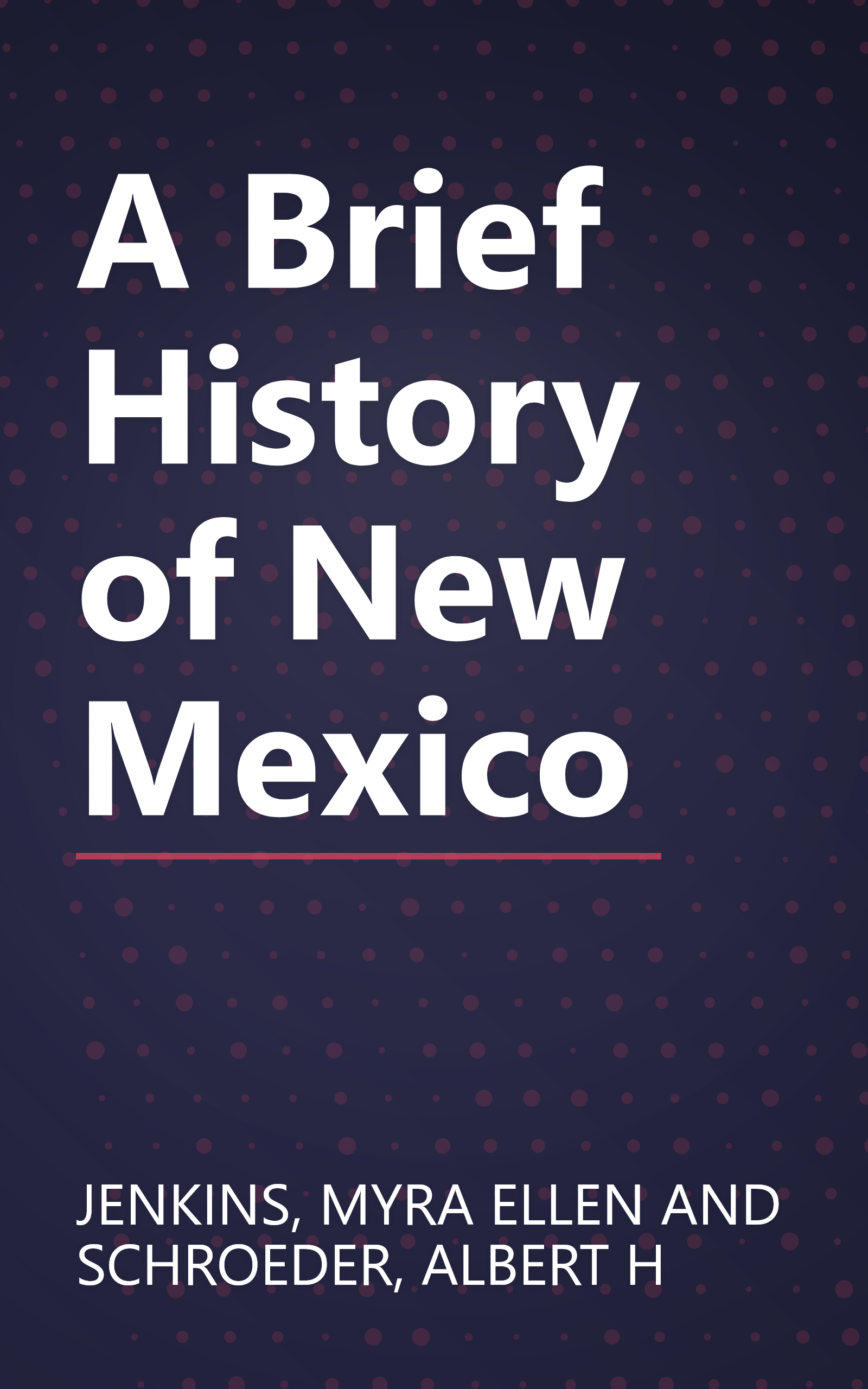 A Brief History of New Mexico book cover